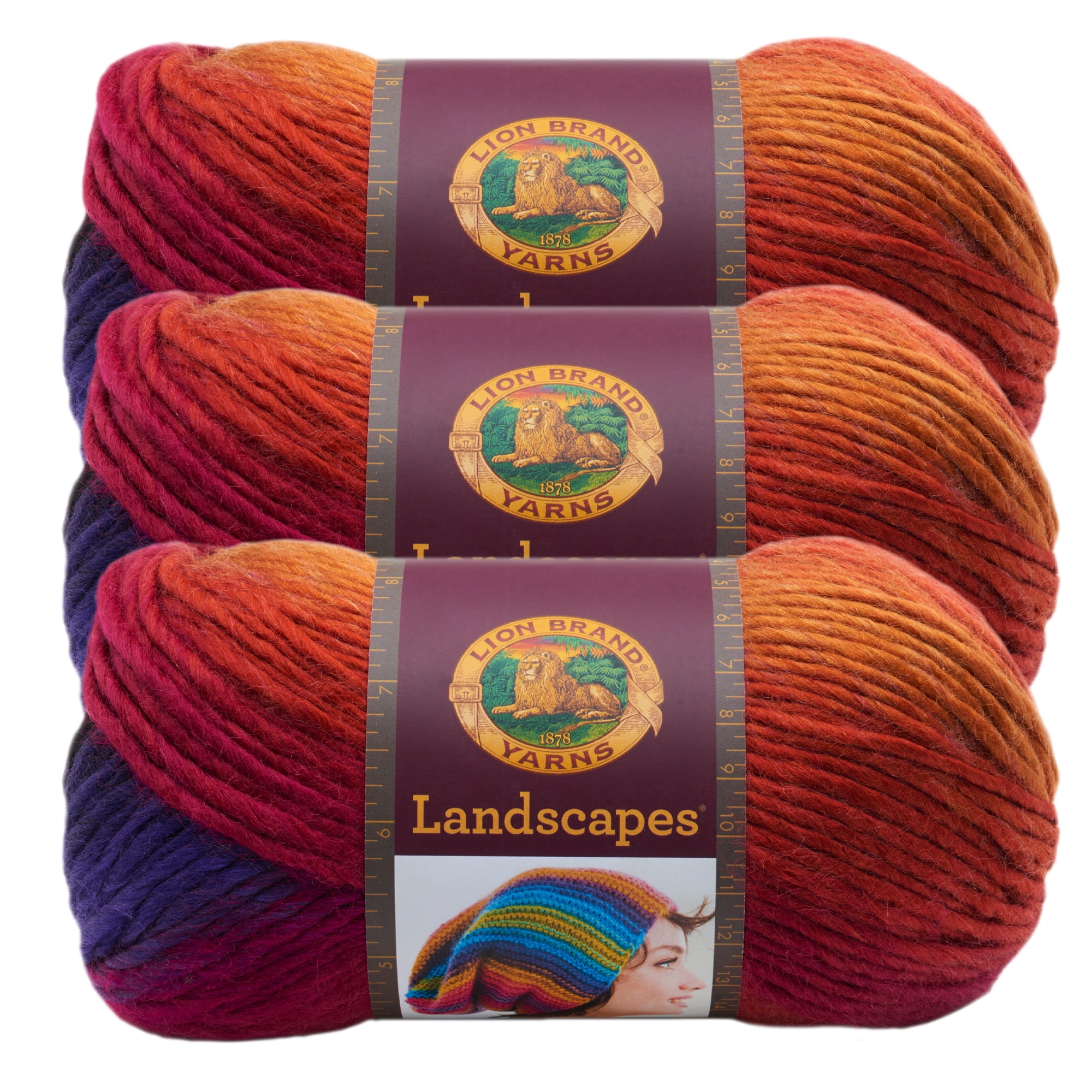 Lion Brand Yarn Landscapes Volcano Medium Acrylic Multi-color Yarn 3 ...