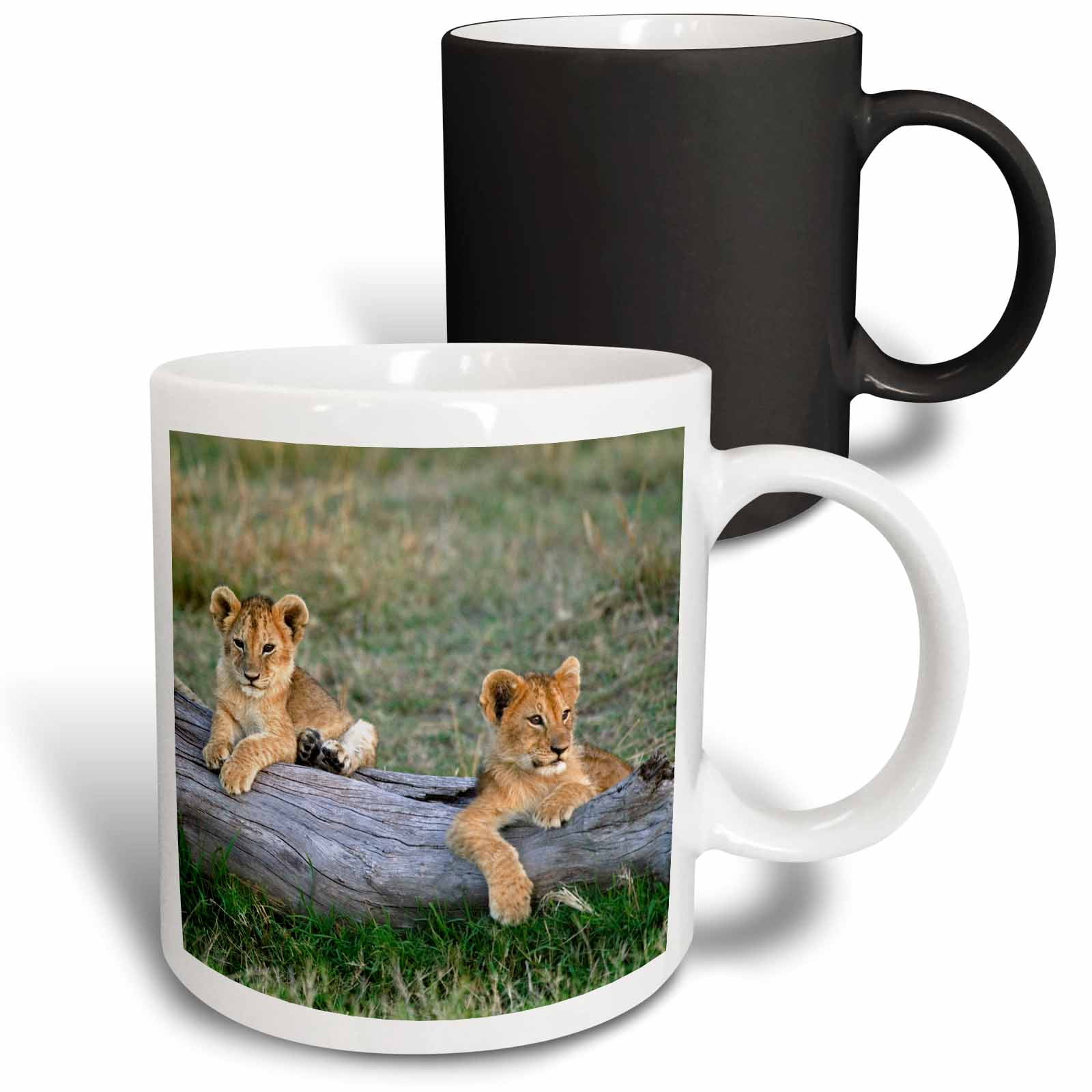 3drose, Lion Cubs on Log, Panthera Leo, Masai Mara, Kenya-af21 Aje0195 ...