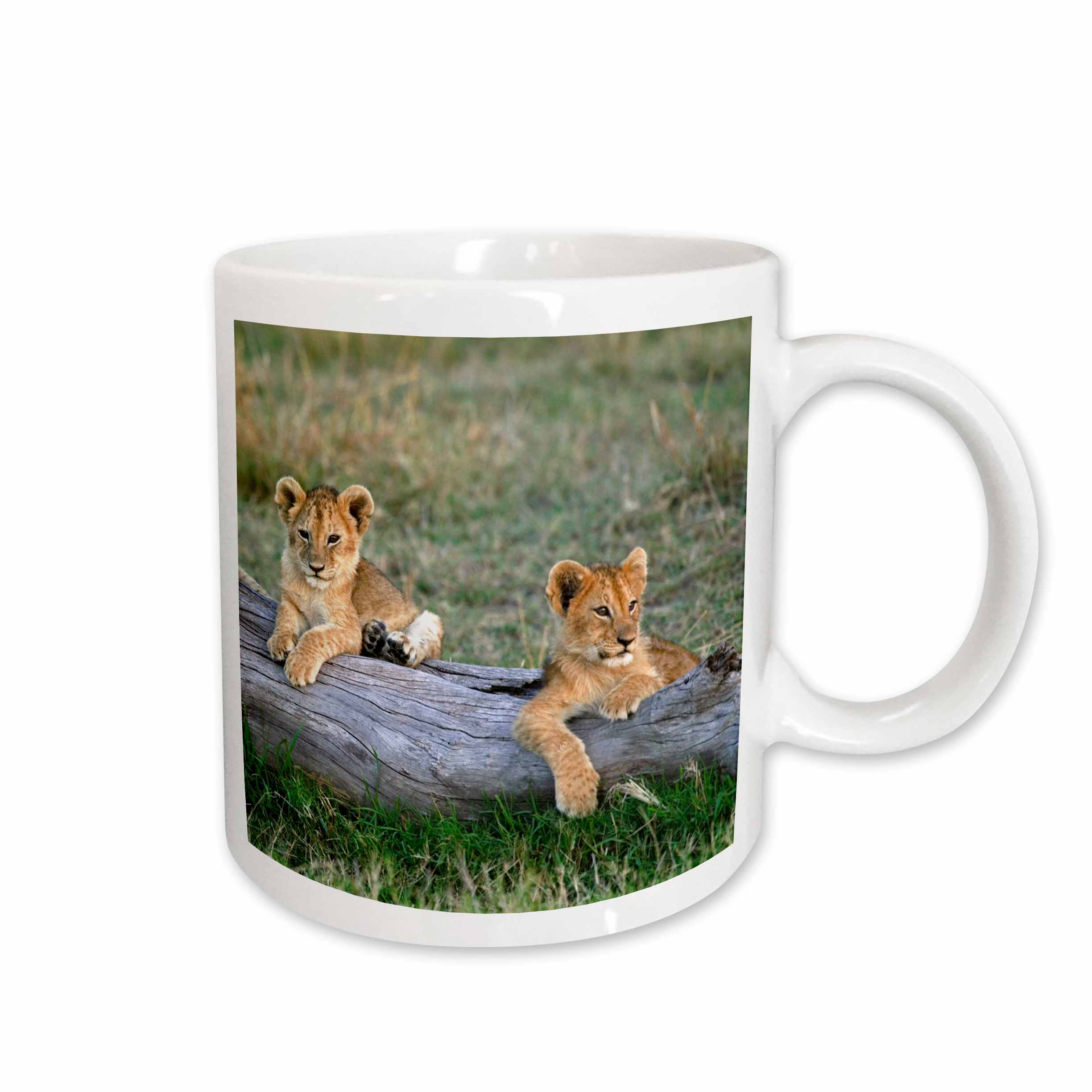 3drose, Lion Cubs on Log, Panthera Leo, Masai Mara, Kenya-af21 Aje0195 ...