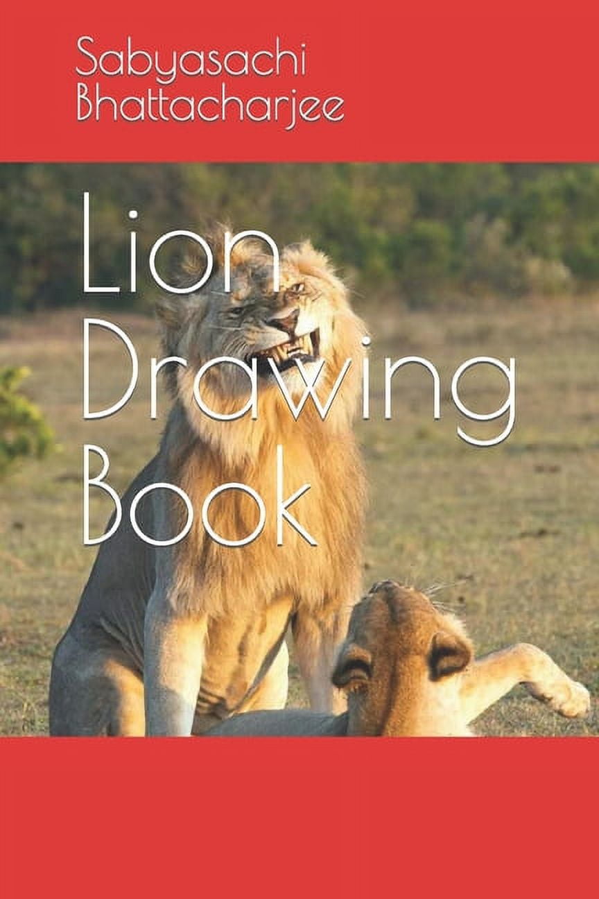 Lion Drawing Book (Paperback) - Walmart.com