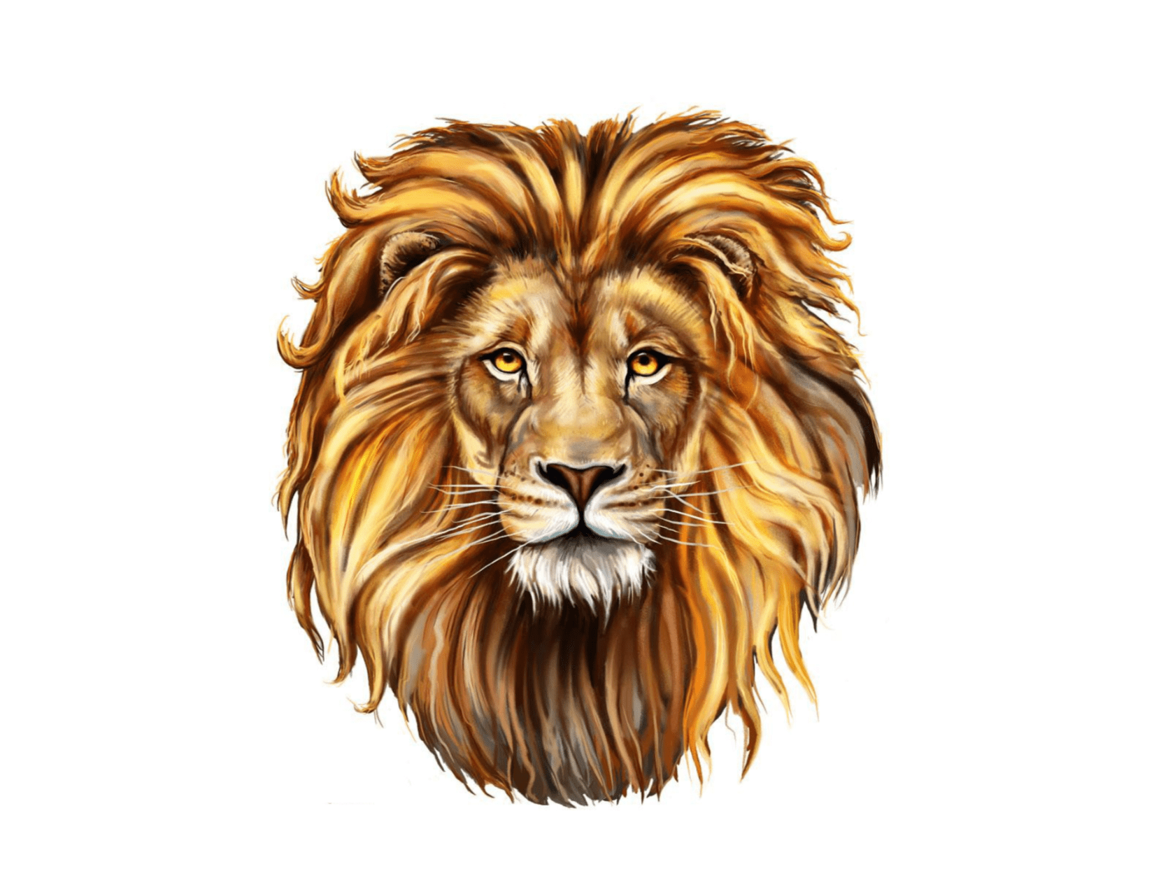 Whimsical Practicality Lion Edible Cake Topper - Birthday Decorations ...