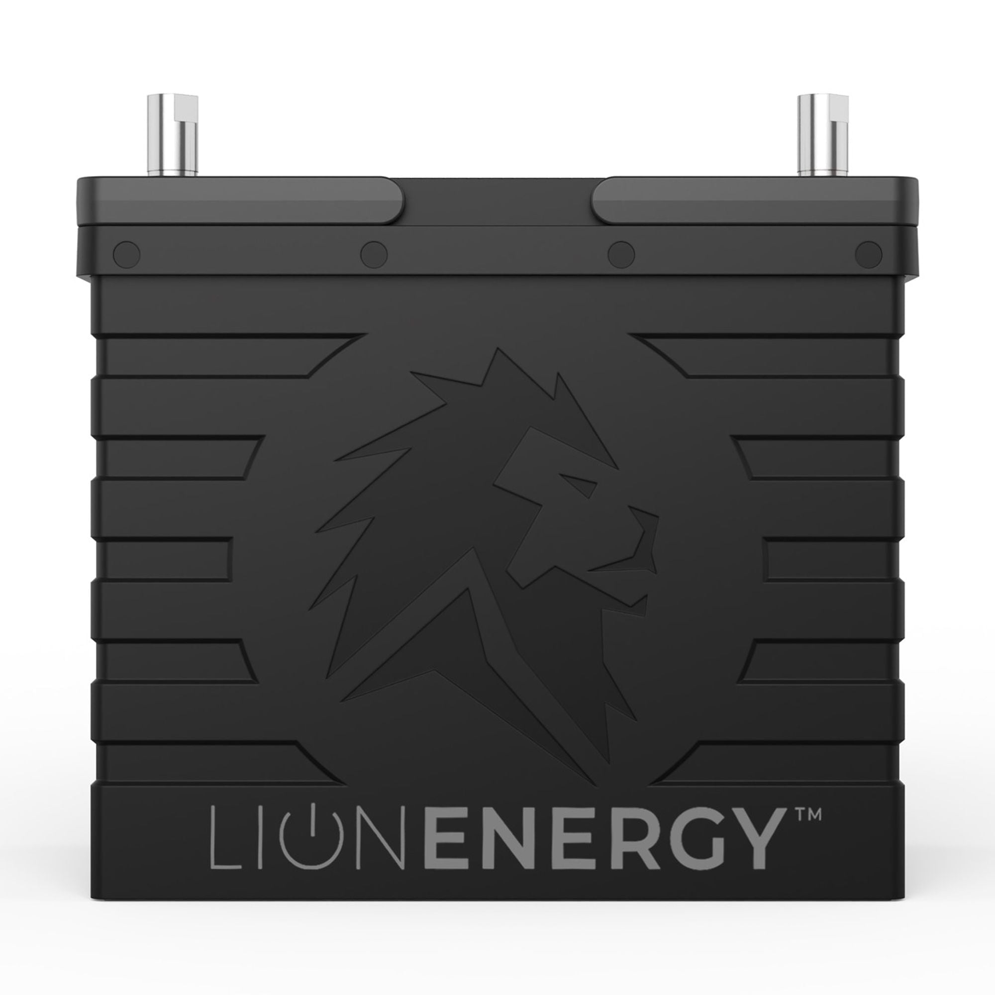 Lion Batteries