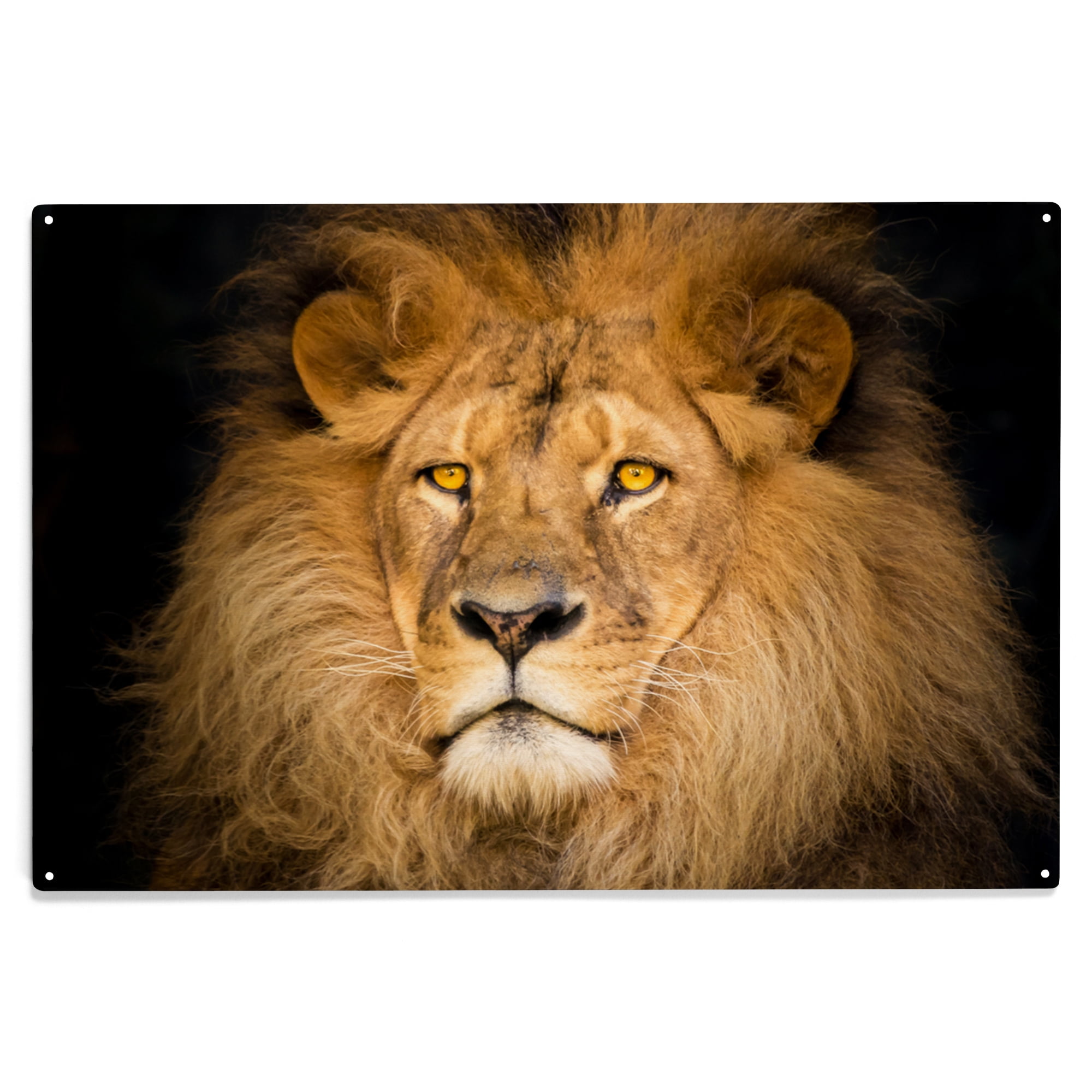 Lion Face Birch Wood Wall Sign (10x15 Rustic Home Decor, Ready to Hang ...