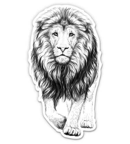 Lion Hand Drawn - 12" Vinyl Sticker Waterproof Decal - Walmart.com