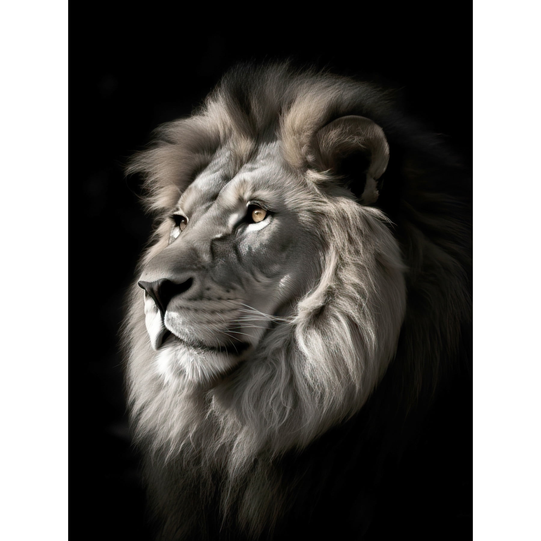 Lion Head Portrait Dramatic Photograph Strong Leo Dark Atmospheric ...