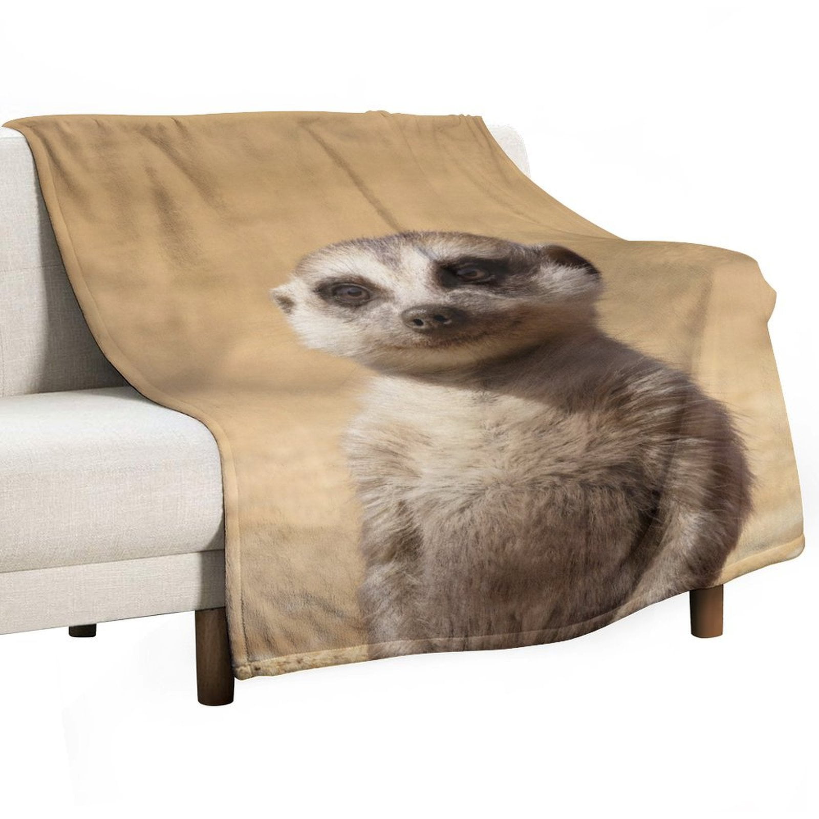 Lion King Pride Simba Friends Boys And Girls Super Plush Throw Blanket ...