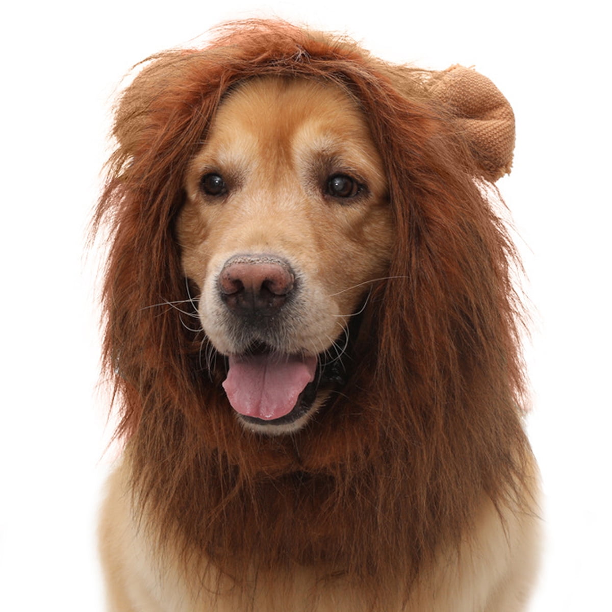 Lion Mane Wig Designed For Dogs With Ears, Realistic And Interesting ...