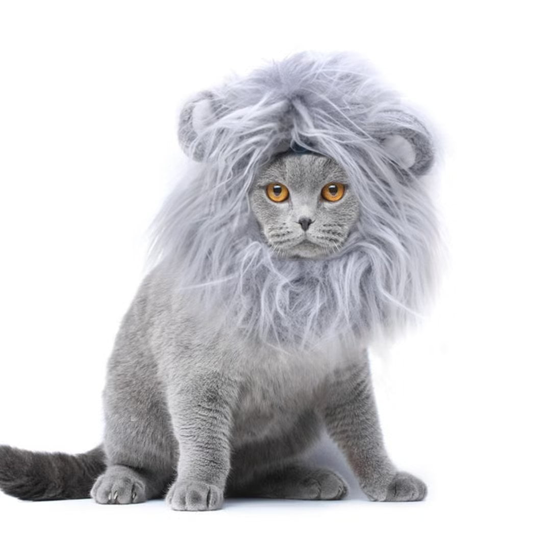 Lion Mane Wig for Cats, Funny Pet Cat Costumes for Halloween Christmas ...