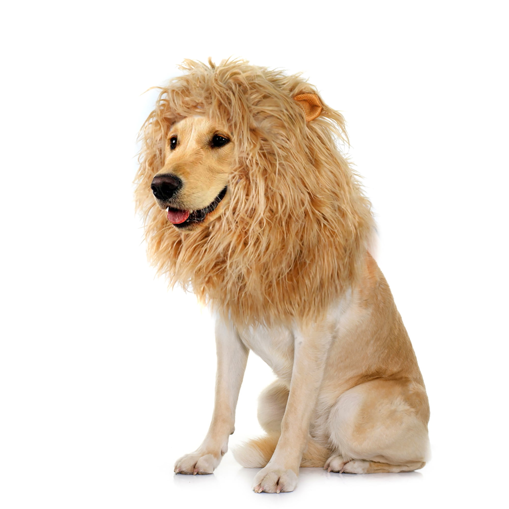 Lion Mane Wig for Dogs, Funny Pet Cat Costumes, Furry Dog Clothing ...