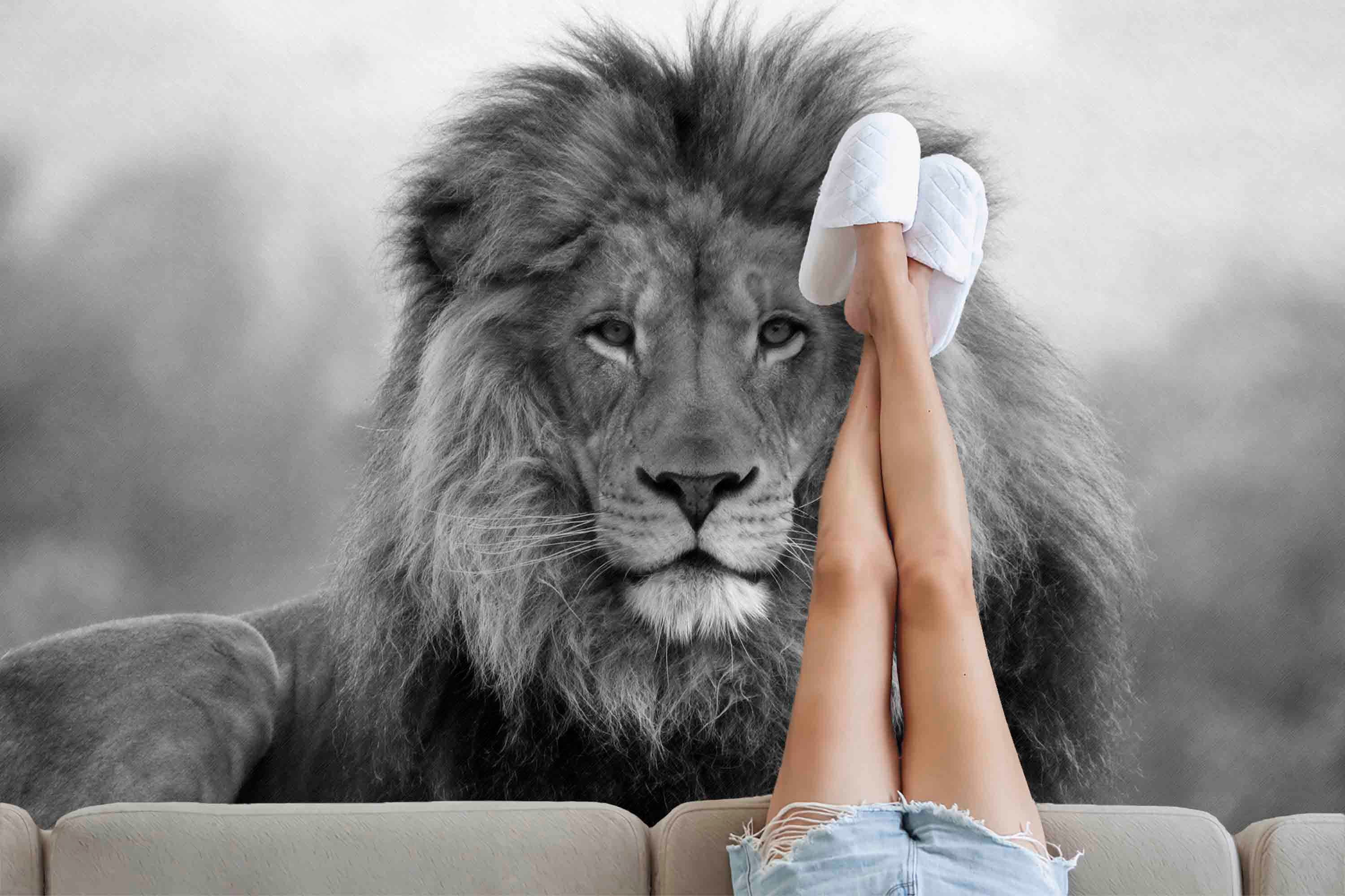 Lion Rugs, Wild Lion Rugs, Wildlife Rugs, Animal Rugs, Salon Rug, Round ...