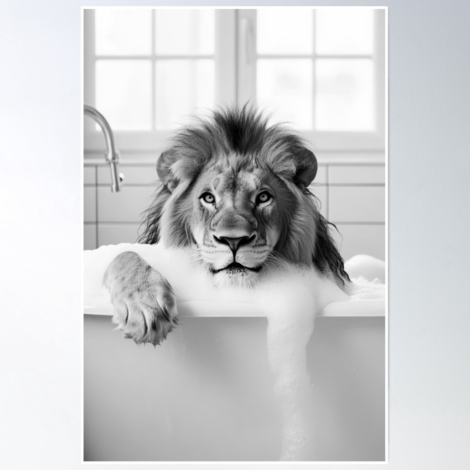 Lion Taking A Bath, Funny Vintage Animal Photo Poster Wall Art, Modern ...