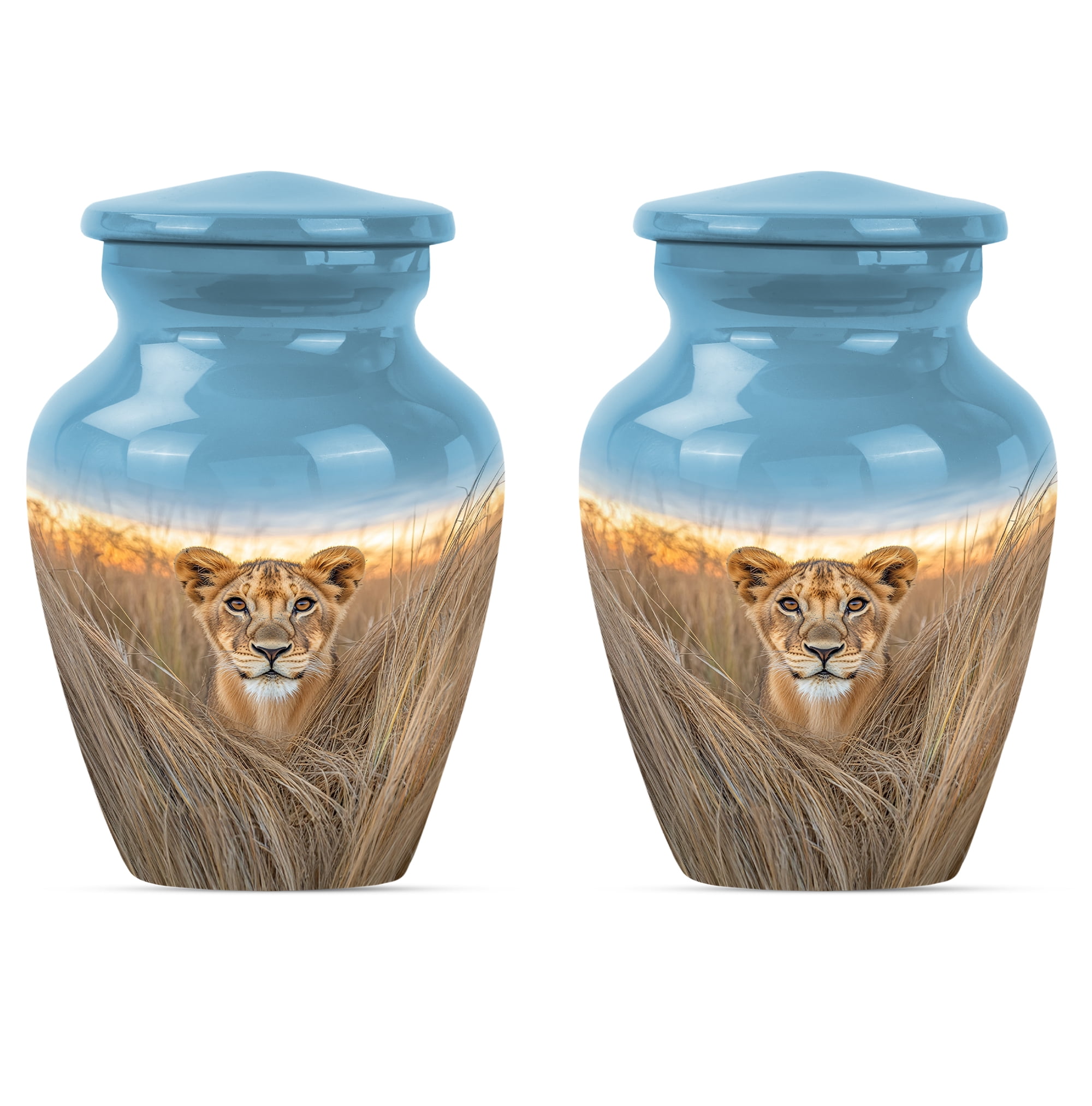 Lion Urn, mini Urns for Human Ashes, Urn for Ashes Adult Male, Small ...
