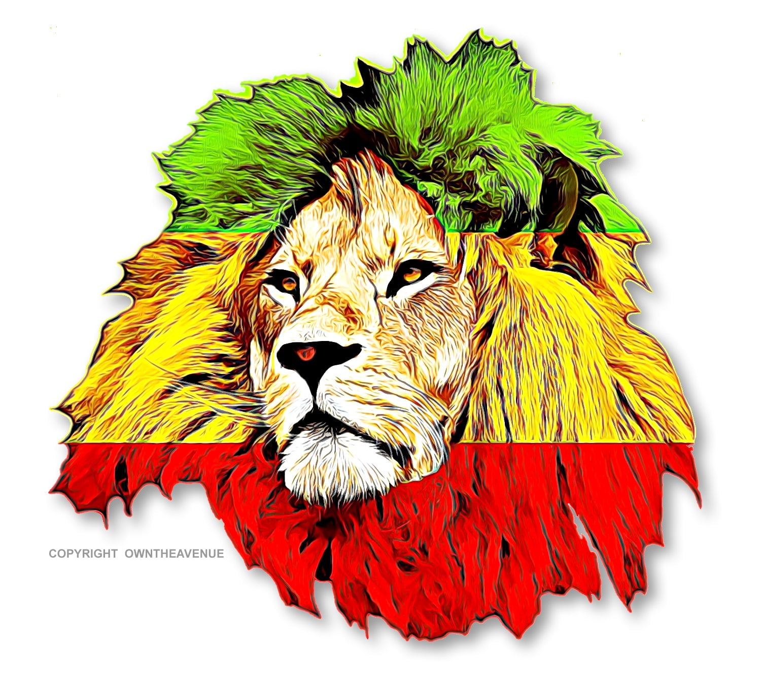 Lion of Judah Rasta Rastafari Jah Vintage Style Vinyl Sticker Decal 3.5 ...