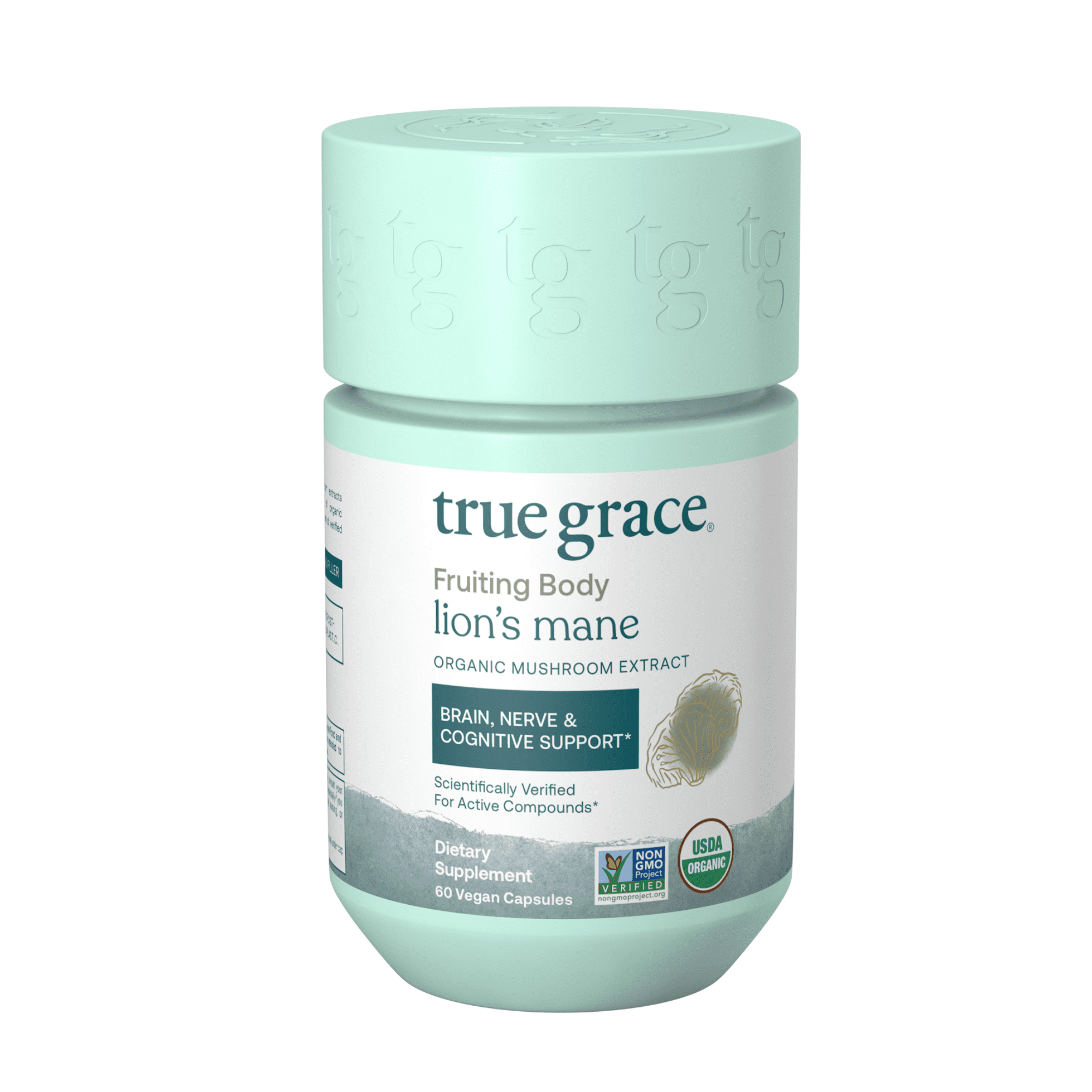 Lion's Mane Organic Mushroom Extract - Brain & Cognitive Support (60 ...