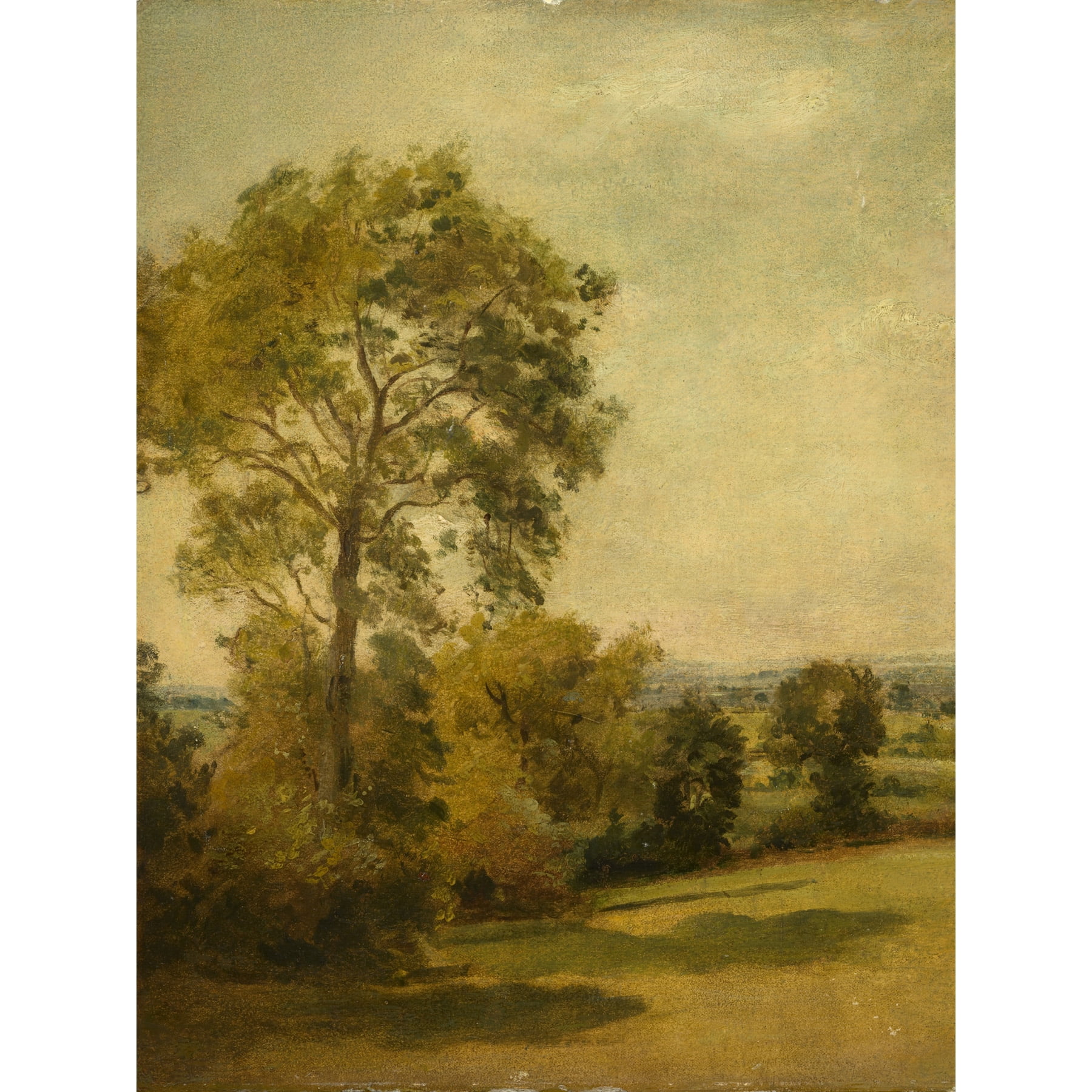 Lionel Constable Tree In Landsdcape 1850 Painting Extra Large XL Wall ...