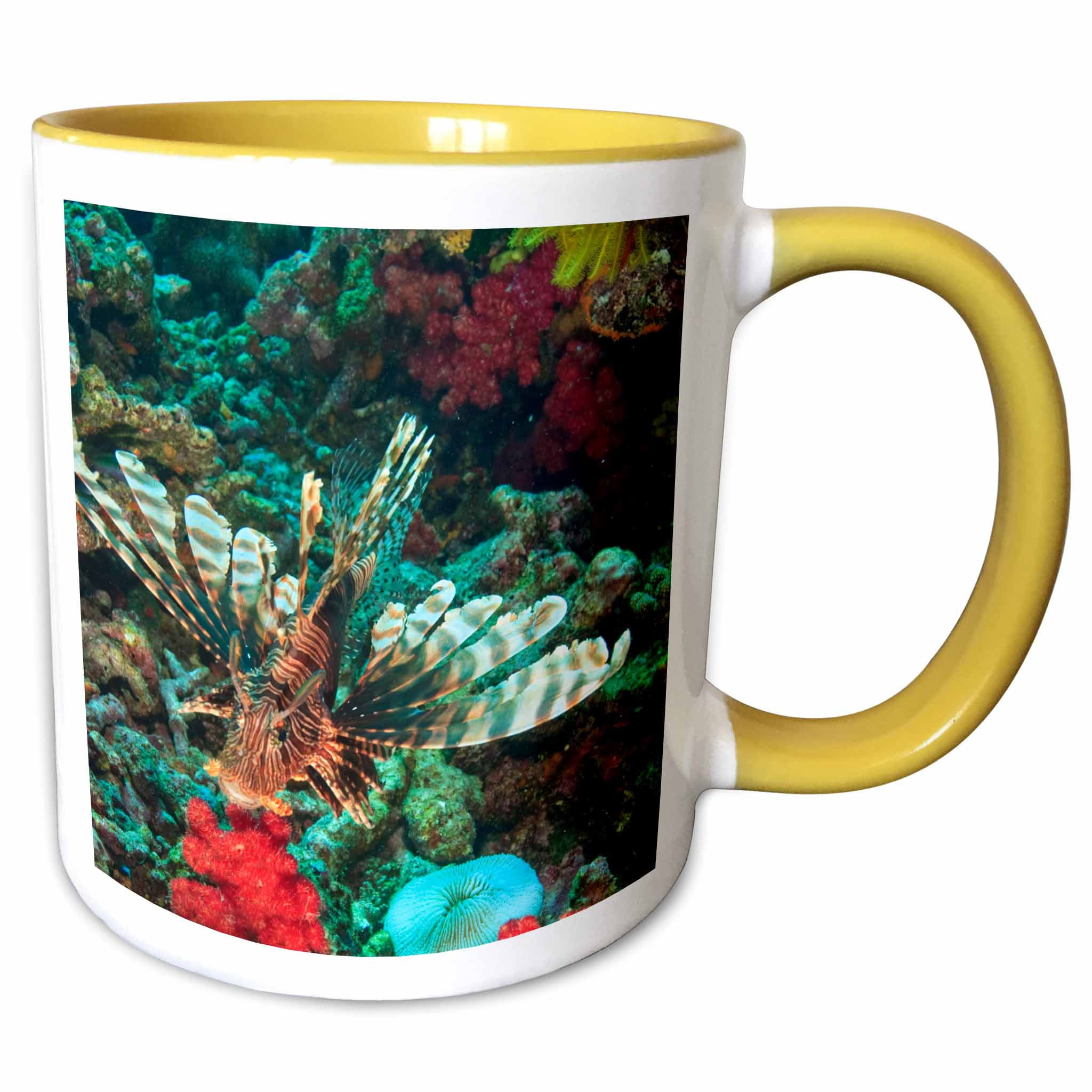 3drose, Lionfish, Rainbow Reef, Taveuni Island, Fiji - Oc01 Sws0137 ...