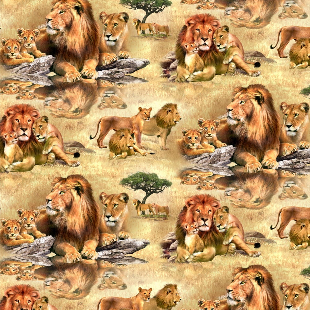 Lions African Animal Family Pride Pattern Premium Roll Gift Wrap ...