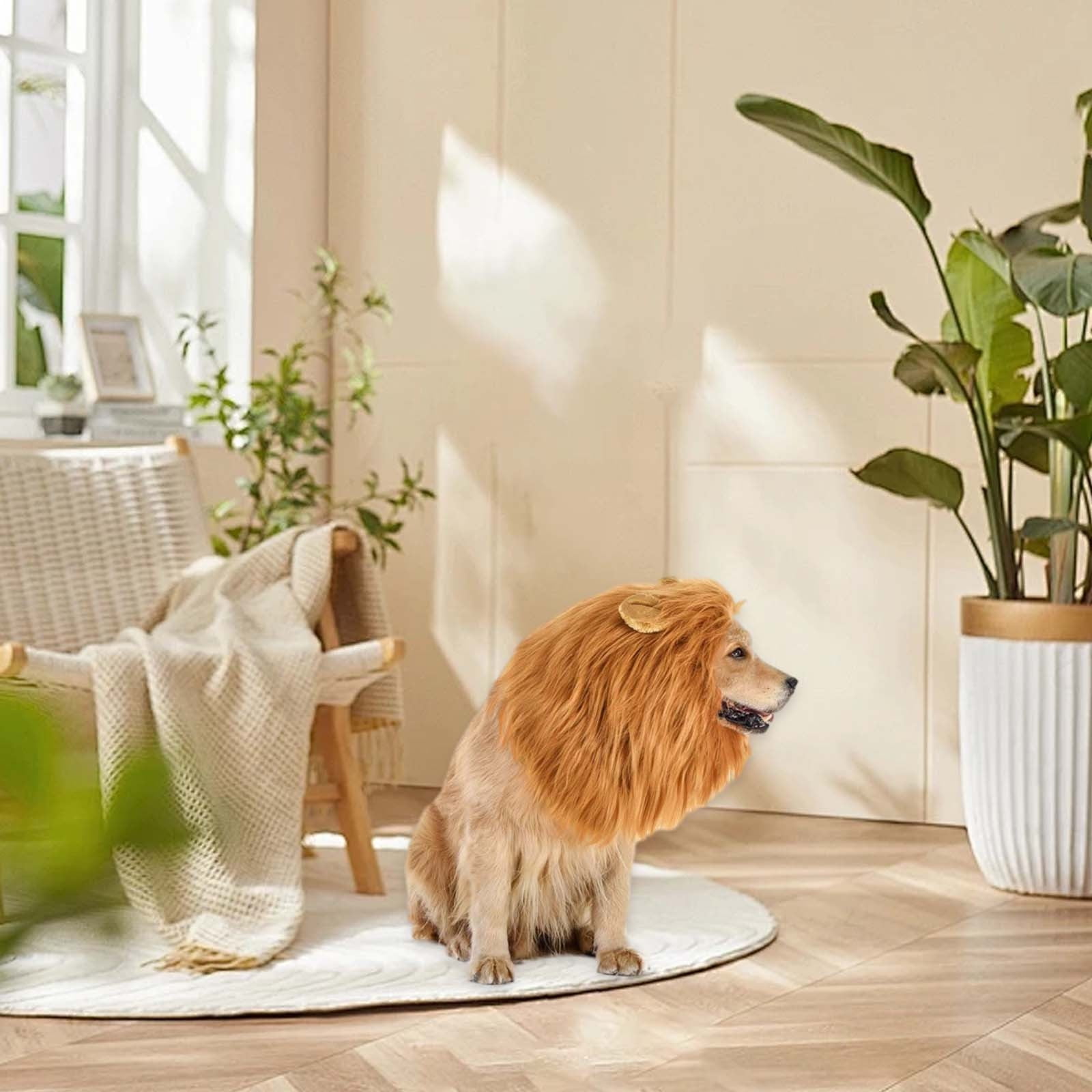 Lions Mane for Dogs,Lion Mane Costume for Dog, Realistic Lion Mane Wig ...