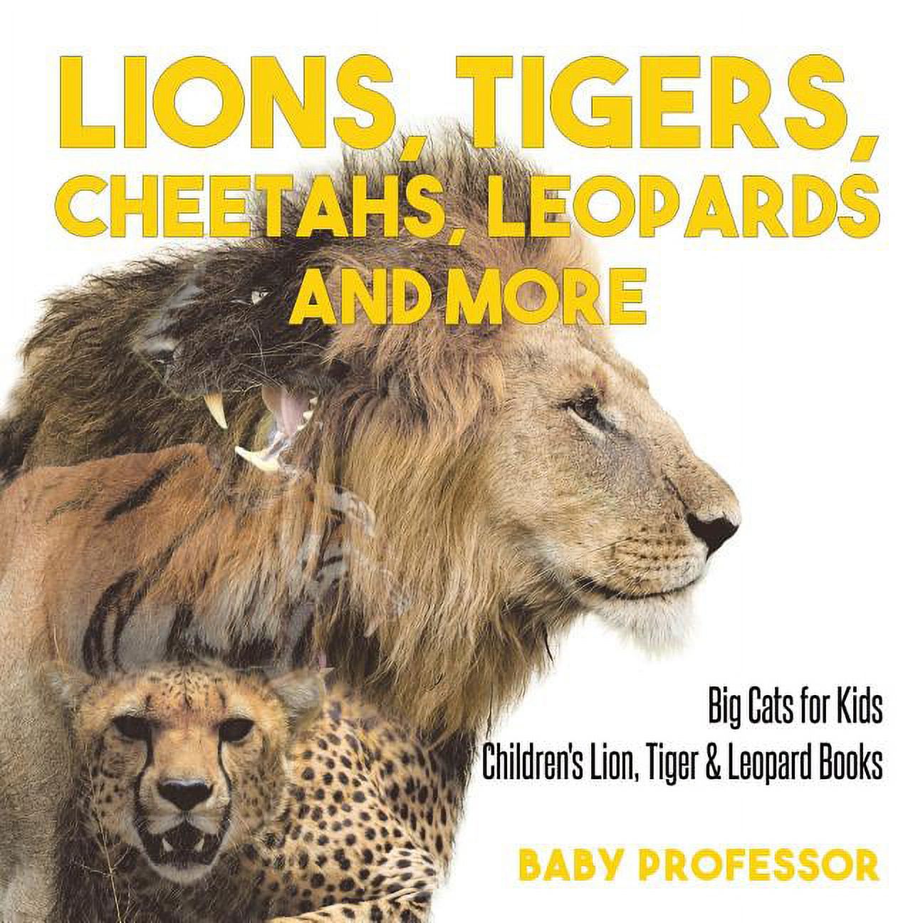 Lions, Tigers, Cheetahs, Leopards and More Big Cats for Kids Children's Lion, Tiger & Leopard ...
