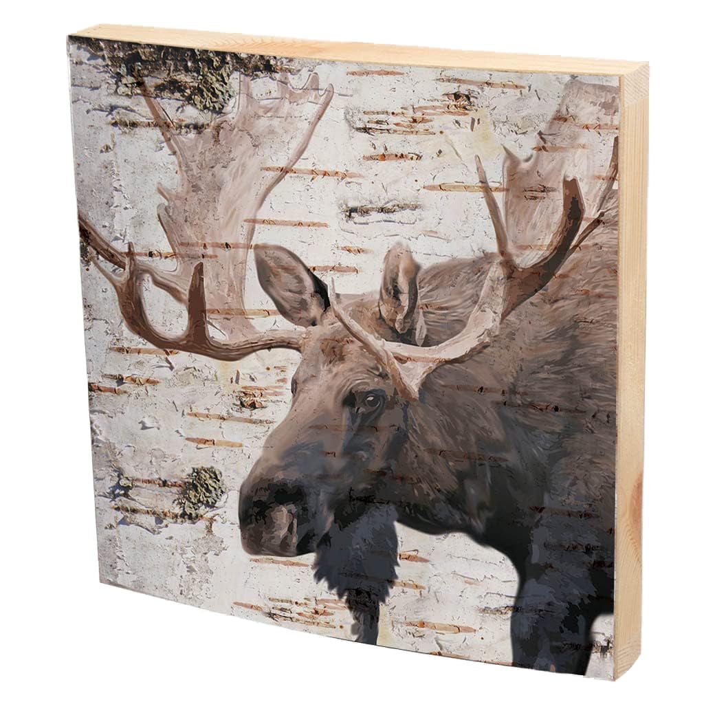 Lipco Wood Moose Bark-Look Plaque, 12-inch Square, Home Decoration ...