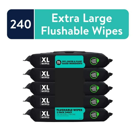 Extra Large Mint Chill Wet Wipes, 48 Count, 5 Pack (240 Total ...