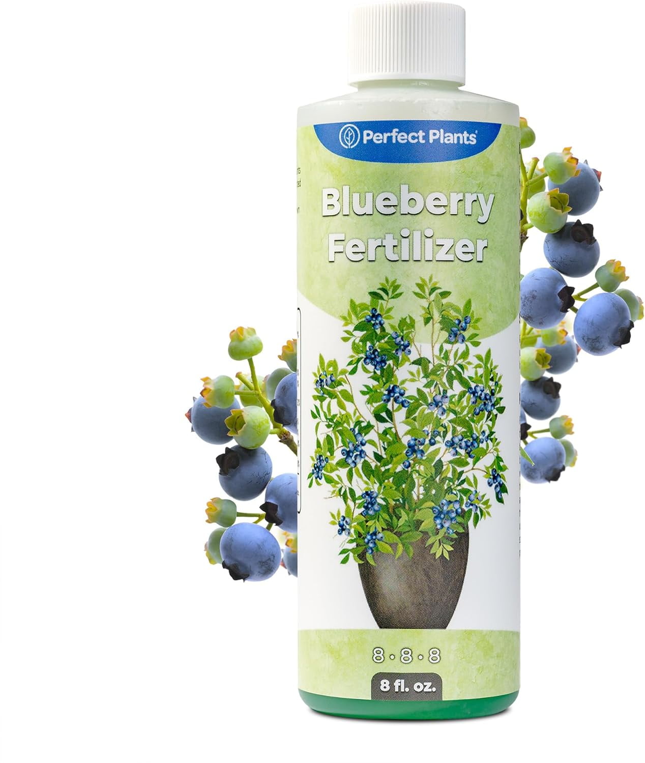 Liquid Blueberry Fertilizer in 8oz. Bottle | Berry Booster | Premium ...