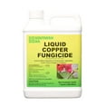 Southern Ag Liquid Copper Fungicide - Bacterial & Fungus Treatment for ...