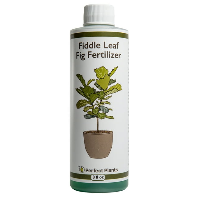 Liquid Fiddle Leaf Fig Fertilizer 8oz. of Premium Concentrated Indoor ...