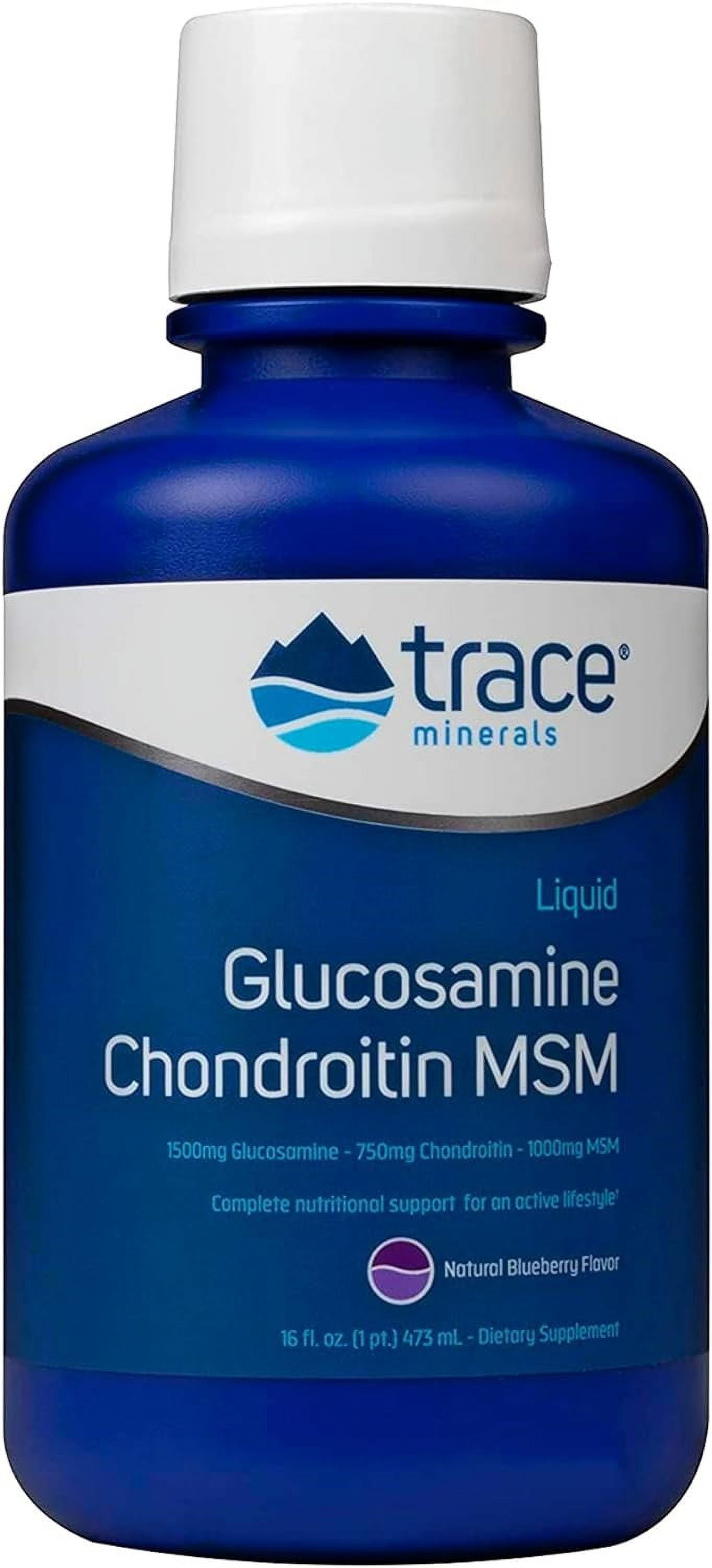 Trace Liquid Glucosamine Chondroitin Msm - Blueberry 16 fl oz Liq ...