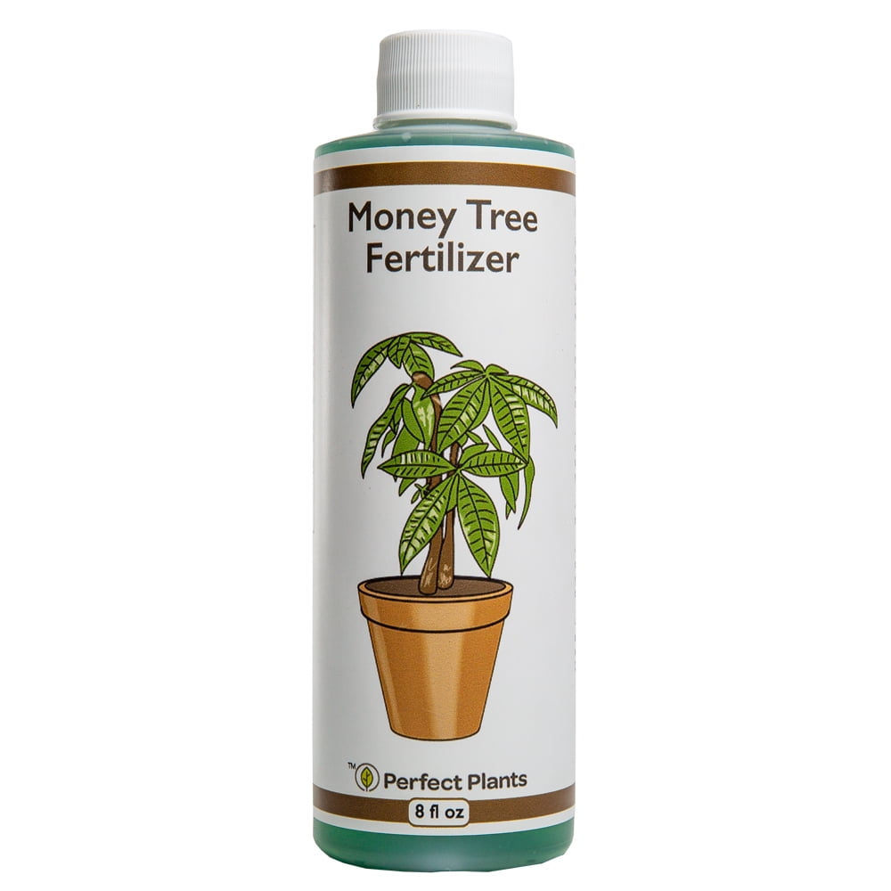 Liquid Money Tree Fertilizer 8oz. of Premium Concentrated Indoor and ...