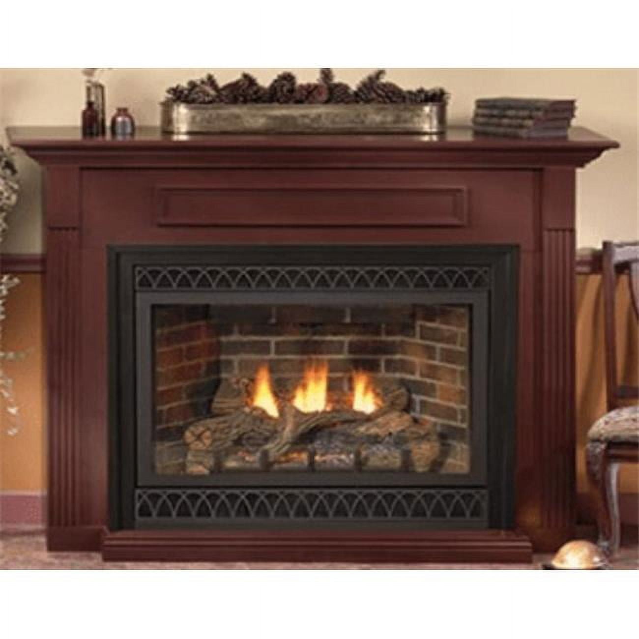 Liquid Propane Tahoe Direct Vent Fireplace with Blower - Walmart.com