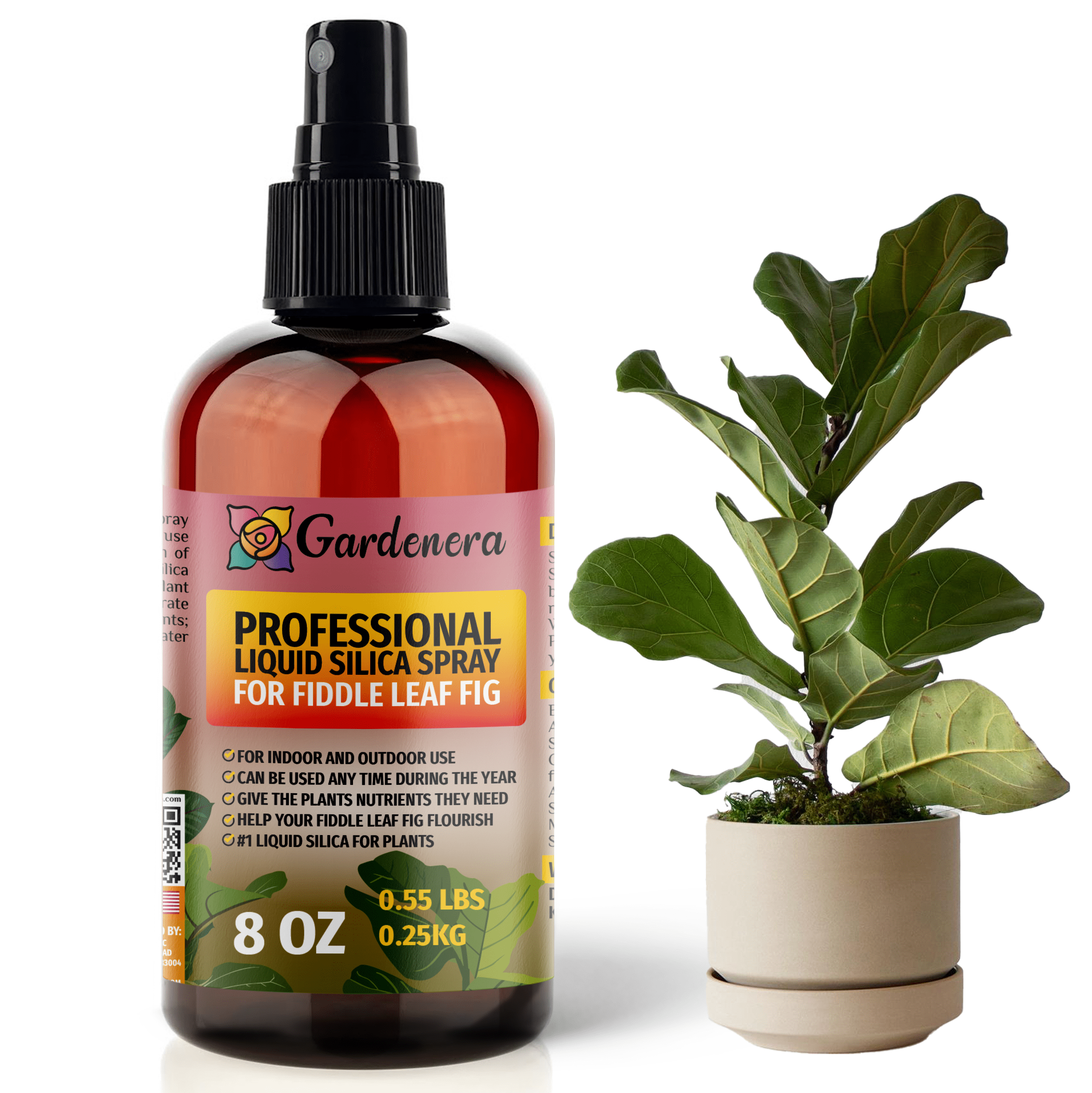 ⭐ PREMIUM Bioavailable Silica Fertilizer for Fiddle Leaf Fig – 8oz ...