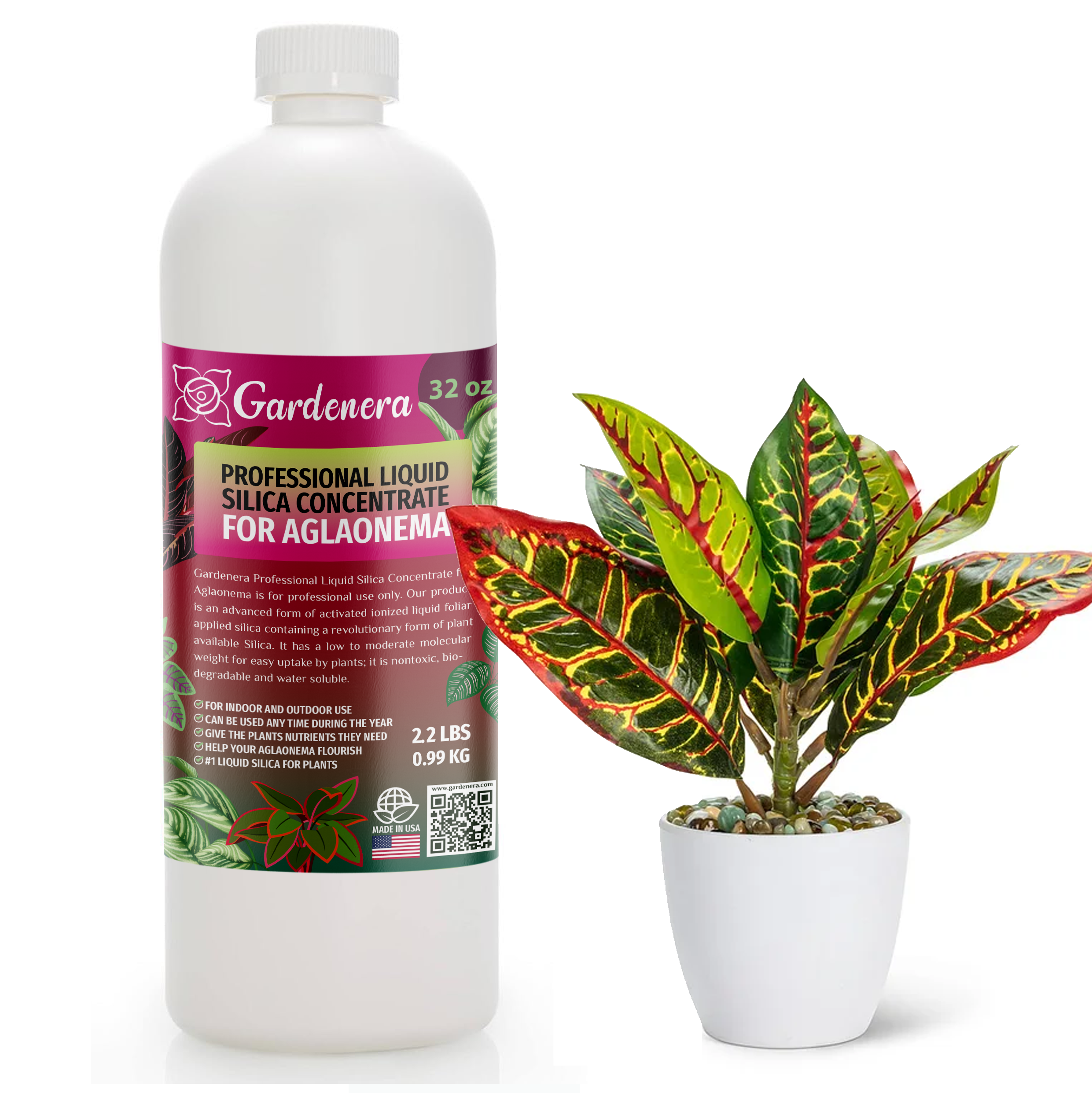 𝐏𝐑𝐎𝐅𝐄𝐒𝐒𝐈𝐎𝐍𝐀𝐋 Liquid Silica Plant Supplement - 32oz - AGLAONEMA Plants ...
