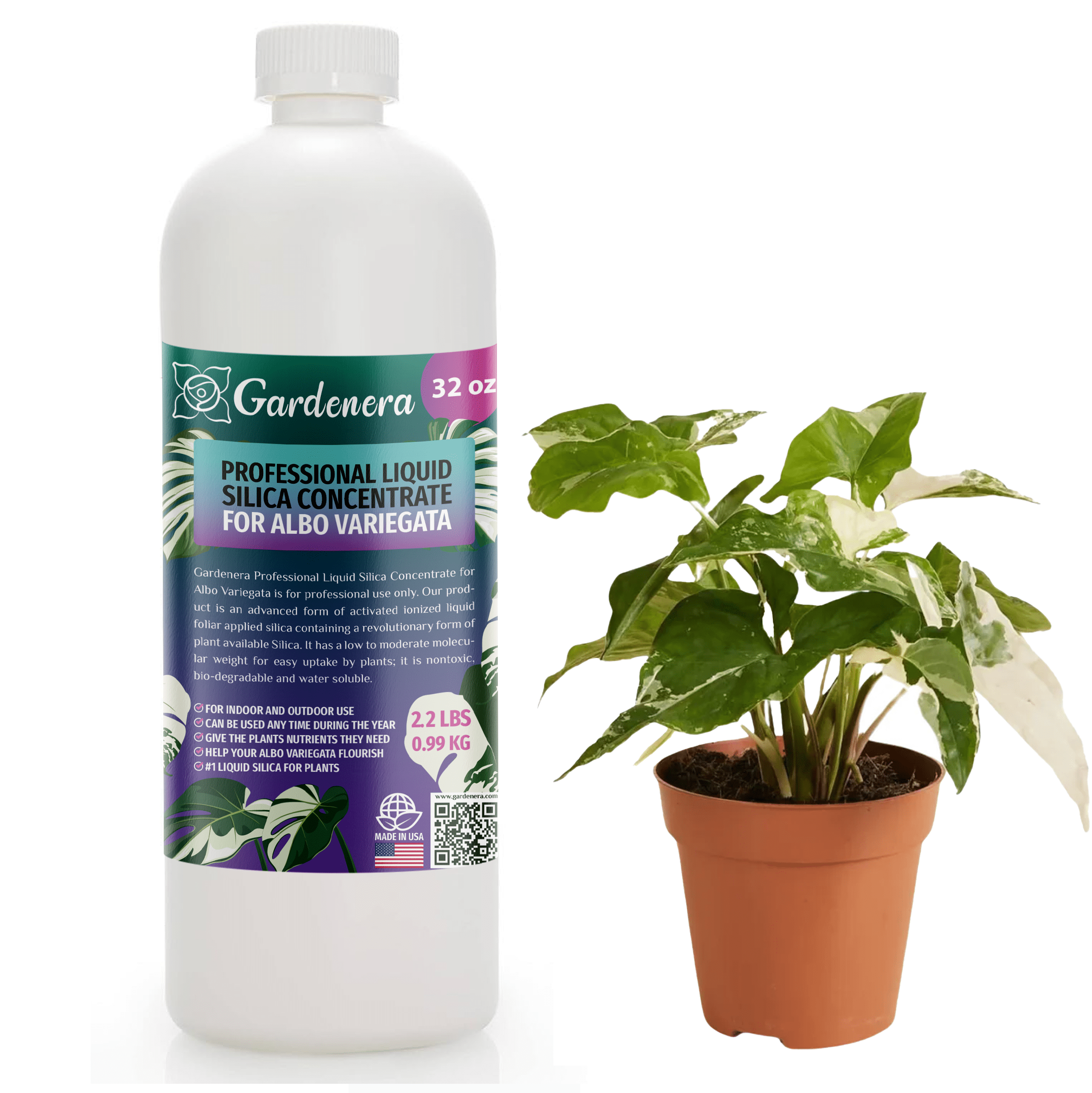 𝐏𝐑𝐎𝐅𝐄𝐒𝐒𝐈𝐎𝐍𝐀𝐋 Liquid Silica Plant Supplement - 32oz - ALBO VARIEGATA ...