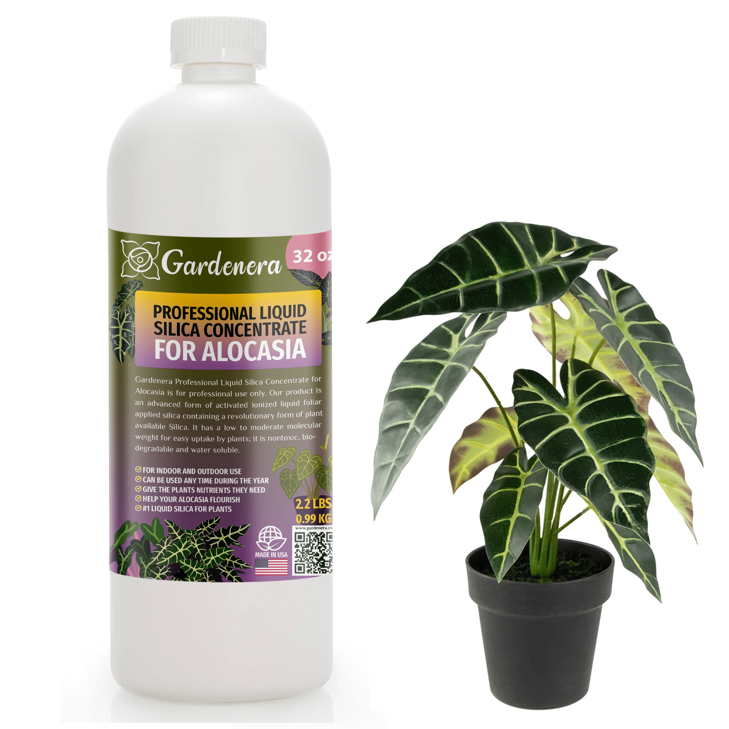 𝐏𝐑𝐎𝐅𝐄𝐒𝐒𝐈𝐎𝐍𝐀𝐋 Liquid Silica Plant Supplement - 32oz - ALOCASIA Plants ...
