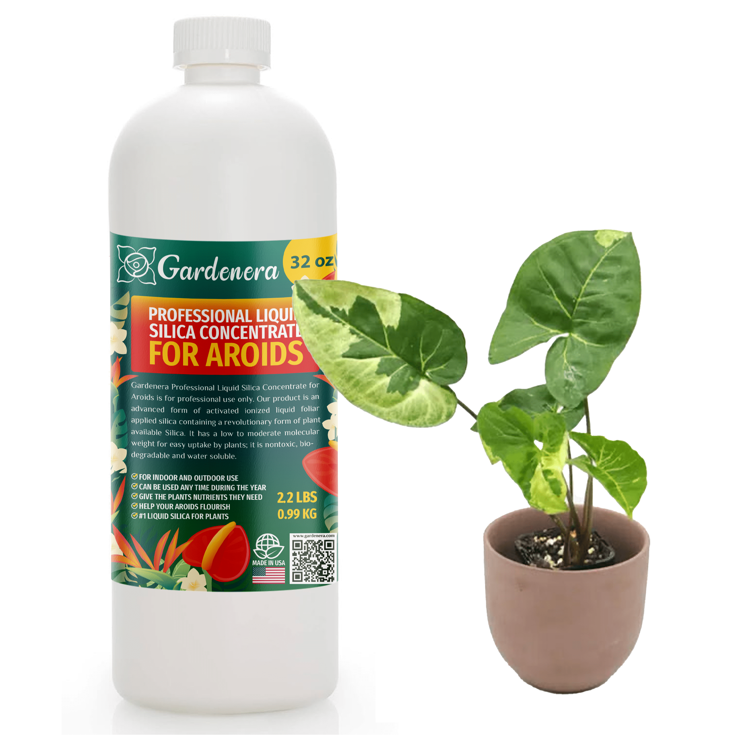 ⭐ 𝐁𝐄𝐒𝐓𝐒𝐄𝐋𝐋𝐄𝐑 Liquid Silica Plant Supplement - 32oz - AROIDS Plants ...