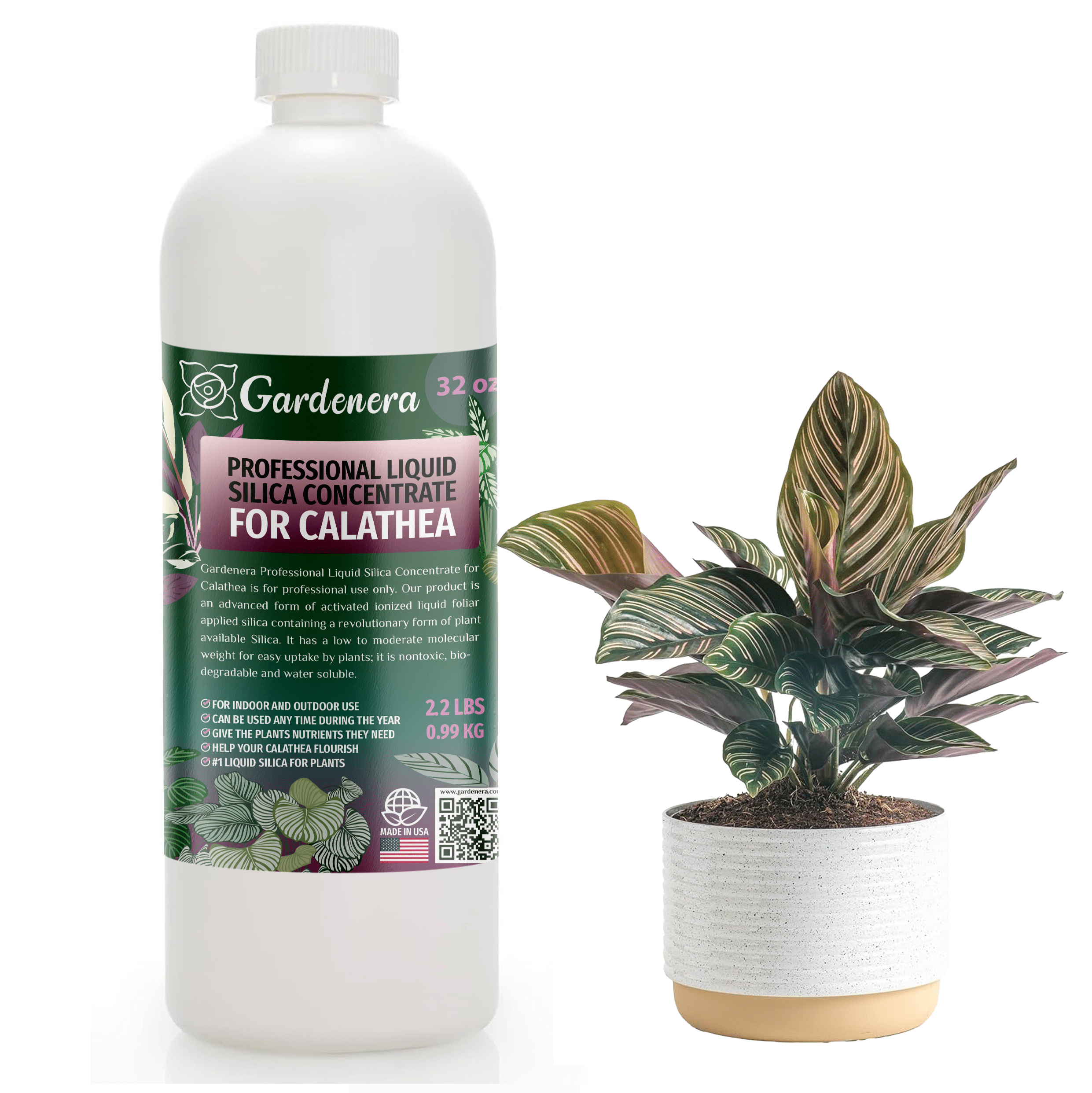 𝐏𝐑𝐎𝐅𝐄𝐒𝐒𝐈𝐎𝐍𝐀𝐋 Liquid Silica Plant Supplement - 32oz - CALATHEA Plants ...