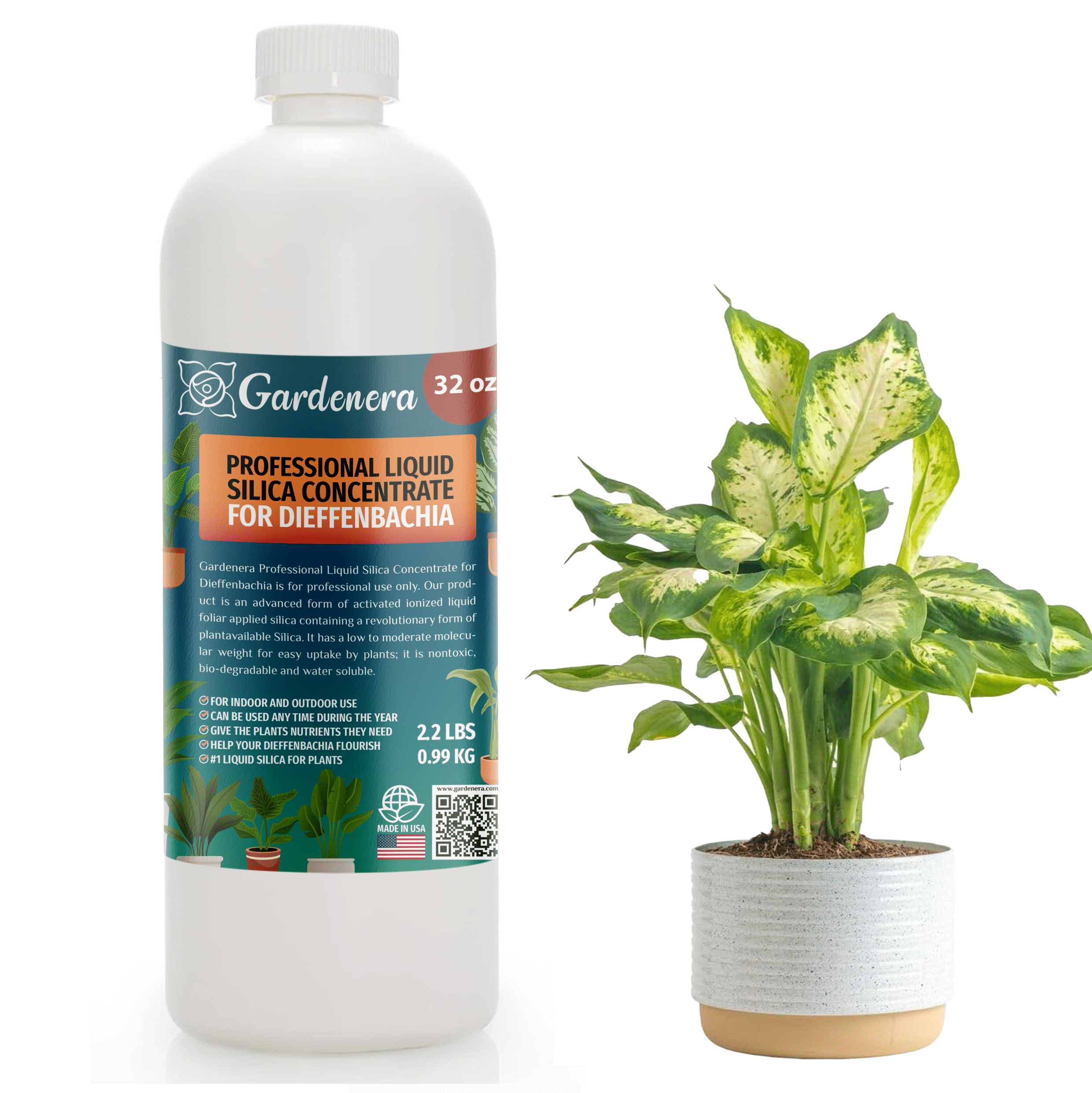 ⭐ 𝐁𝐄𝐒𝐓𝐒𝐄𝐋𝐋𝐄𝐑 Liquid Silica Plant Supplement - 32oz - DIEFFENBACHIA ...