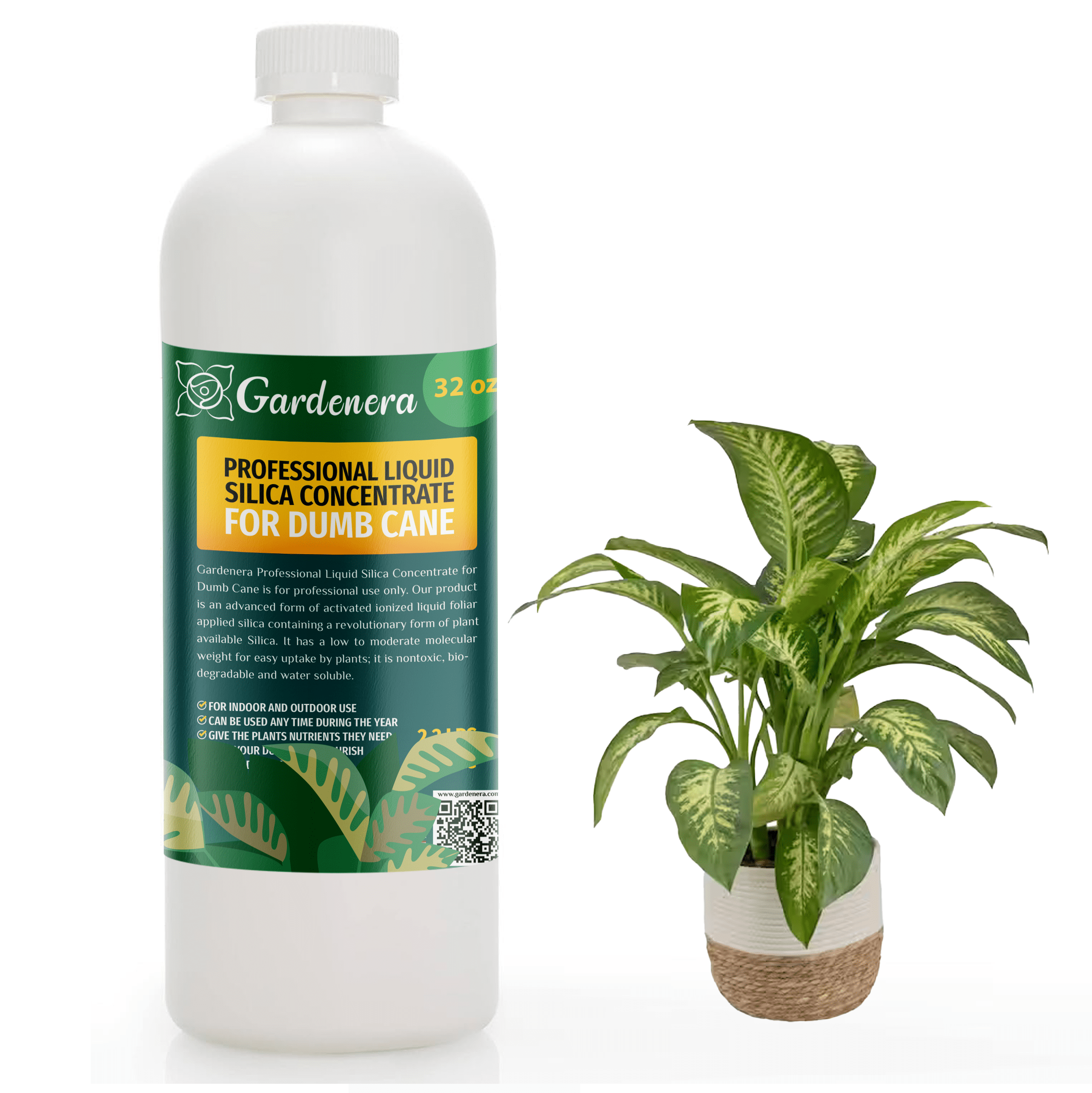 𝐏𝐑𝐎𝐅𝐄𝐒𝐒𝐈𝐎𝐍𝐀𝐋 Liquid Silica Plant Supplement - 32oz - DUMB CANE Plants ...