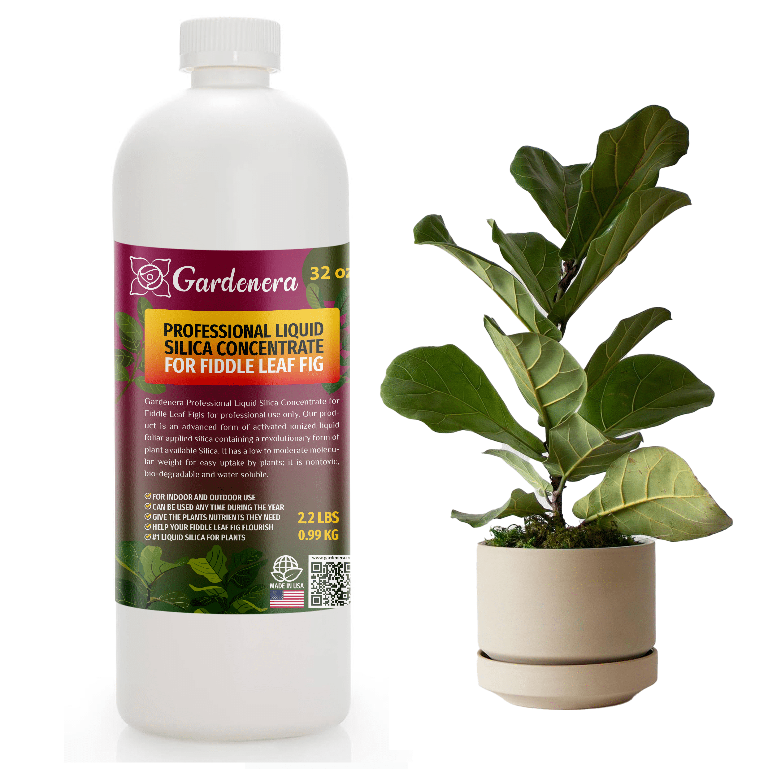 ⭐ 𝐁𝐄𝐒𝐓𝐒𝐄𝐋𝐋𝐄𝐑 Liquid Silica Plant Supplement - 32oz - FIDDLE LEAF FIG ...