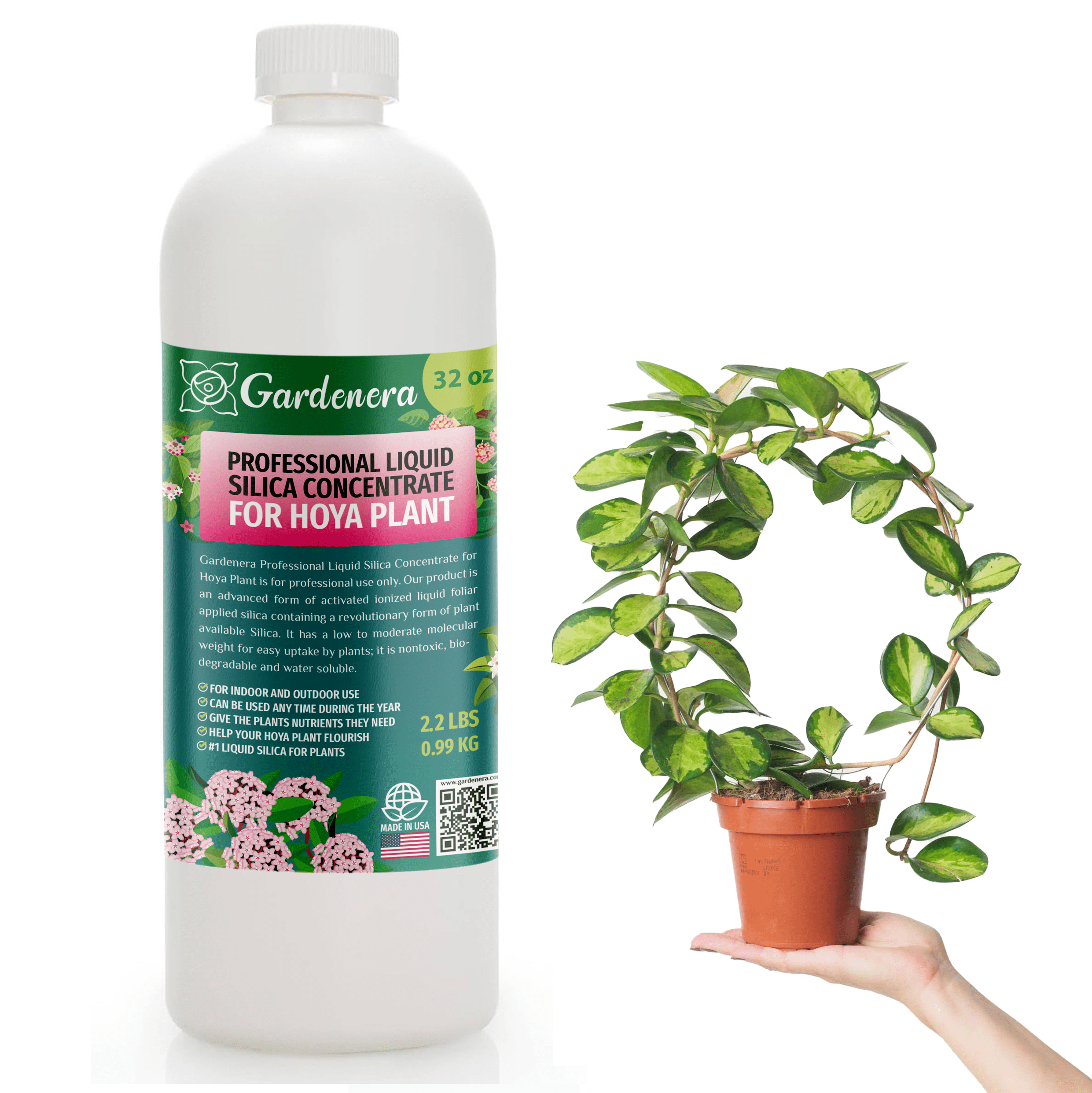 𝐏𝐑𝐎𝐅𝐄𝐒𝐒𝐈𝐎𝐍𝐀𝐋 Liquid Silica Plant Supplement - 32oz - HOYA Plants Liquid Silica Boost Fertilizer ...