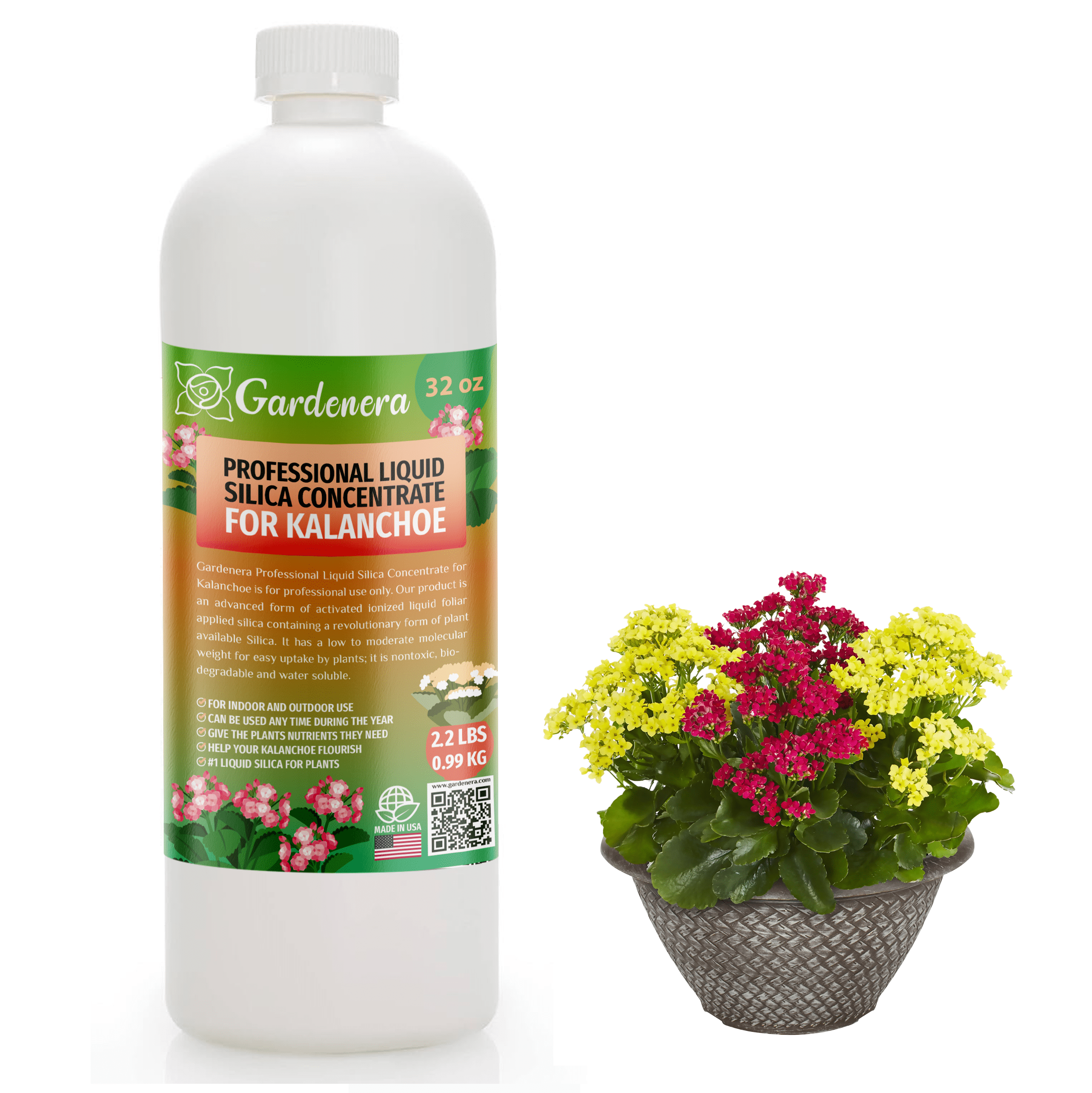 𝐏𝐑𝐎𝐅𝐄𝐒𝐒𝐈𝐎𝐍𝐀𝐋 Liquid Silica Plant Supplement - 32oz - KALANCHOE Plants ...