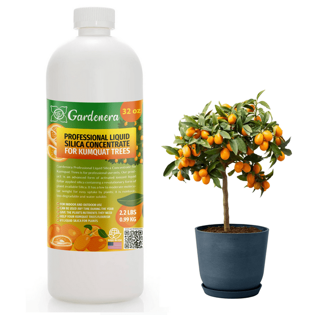 𝐏𝐑𝐎𝐅𝐄𝐒𝐒𝐈𝐎𝐍𝐀𝐋 Liquid Silica Plant Supplement - 32oz - KUMQUAT TREES ...