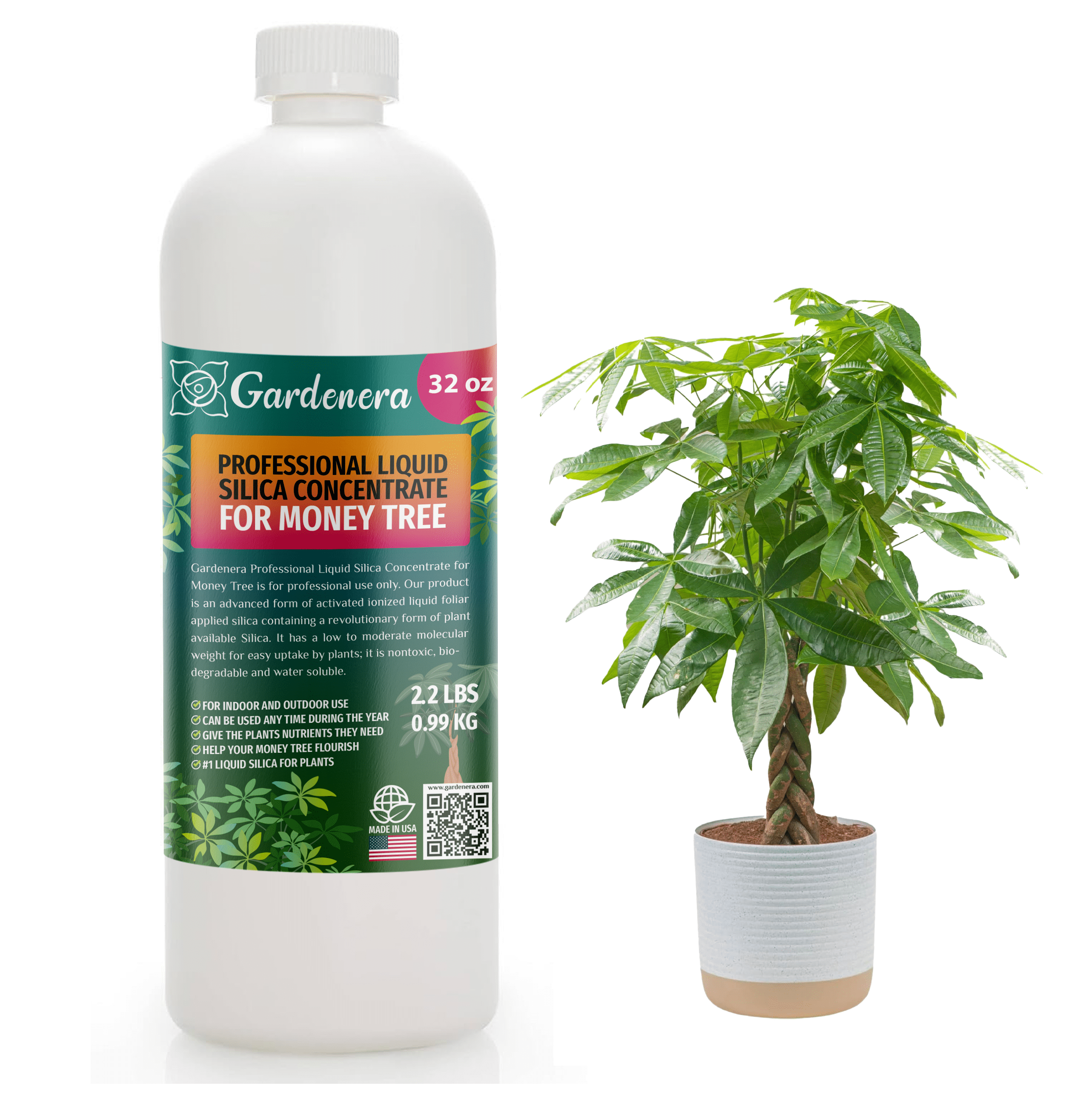 𝐏𝐑𝐎𝐅𝐄𝐒𝐒𝐈𝐎𝐍𝐀𝐋 Liquid Silica Plant Supplement - 32oz - MONEY TREE Plants ...
