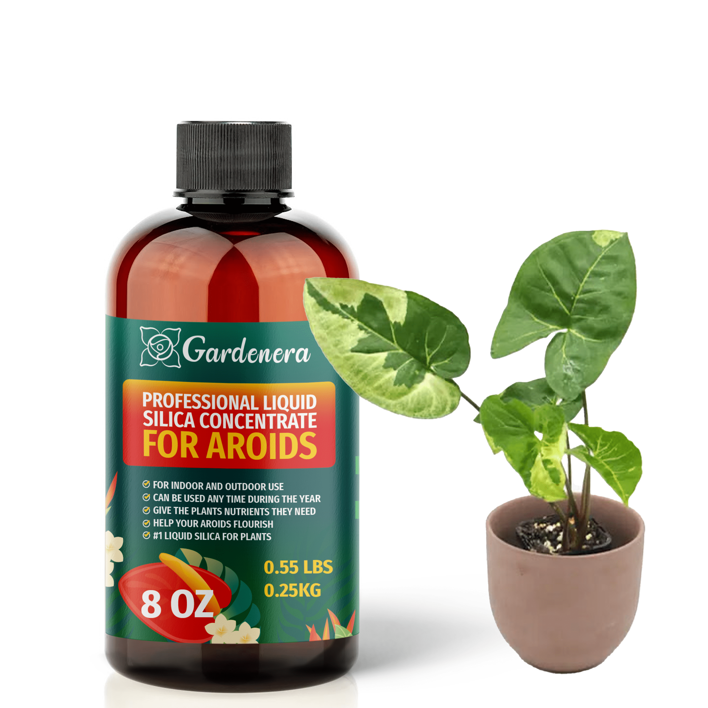 𝐏𝐑𝐄𝐌𝐈𝐔𝐌 Liquid Silica Plant Supplement - 8oz (250mL) - AROIDS Plants ...