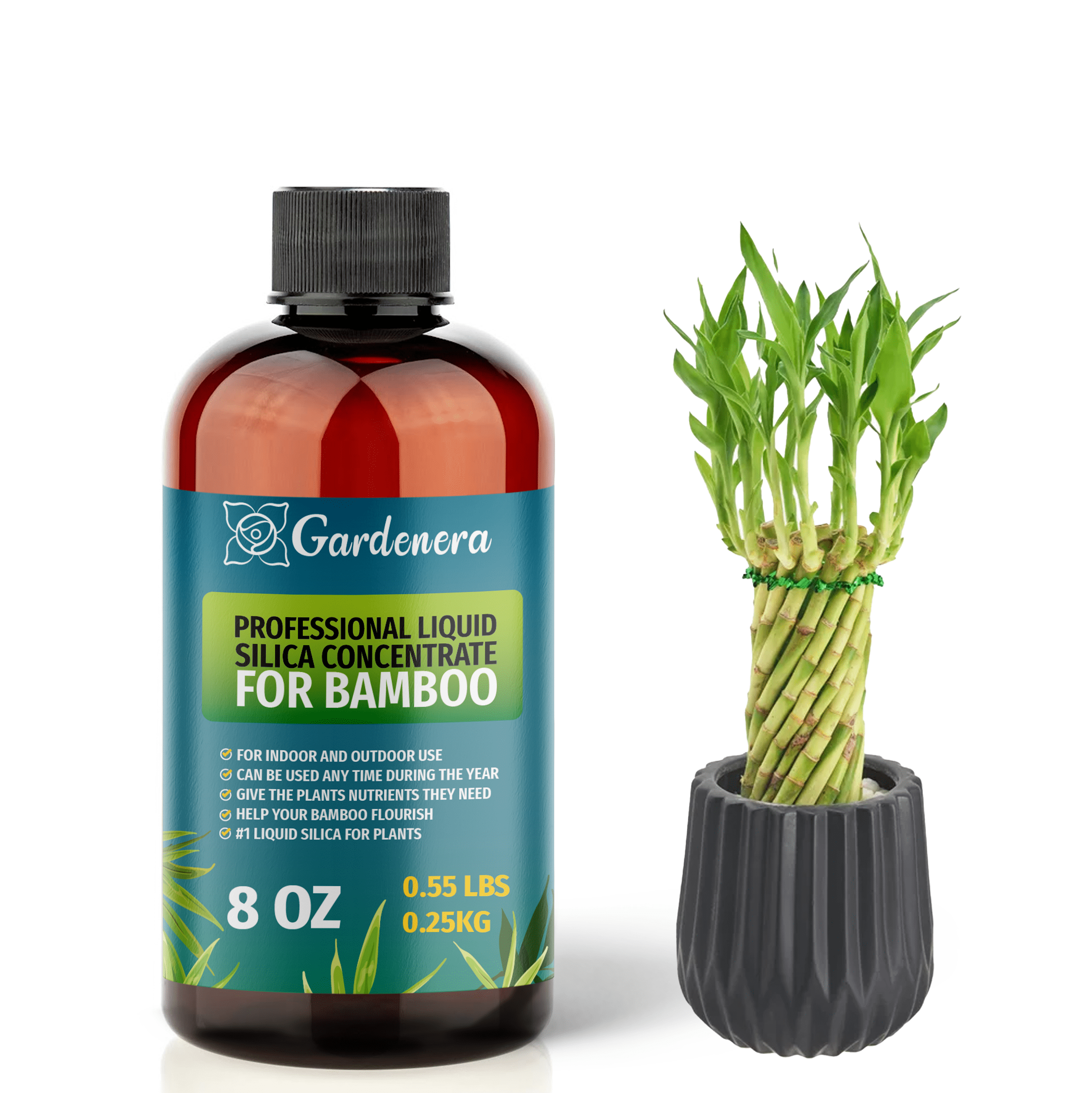 𝐏𝐑𝐄𝐌𝐈𝐔𝐌 Liquid Silica Plant Supplement - 8oz (250mL) - BAMBOO Plants ...