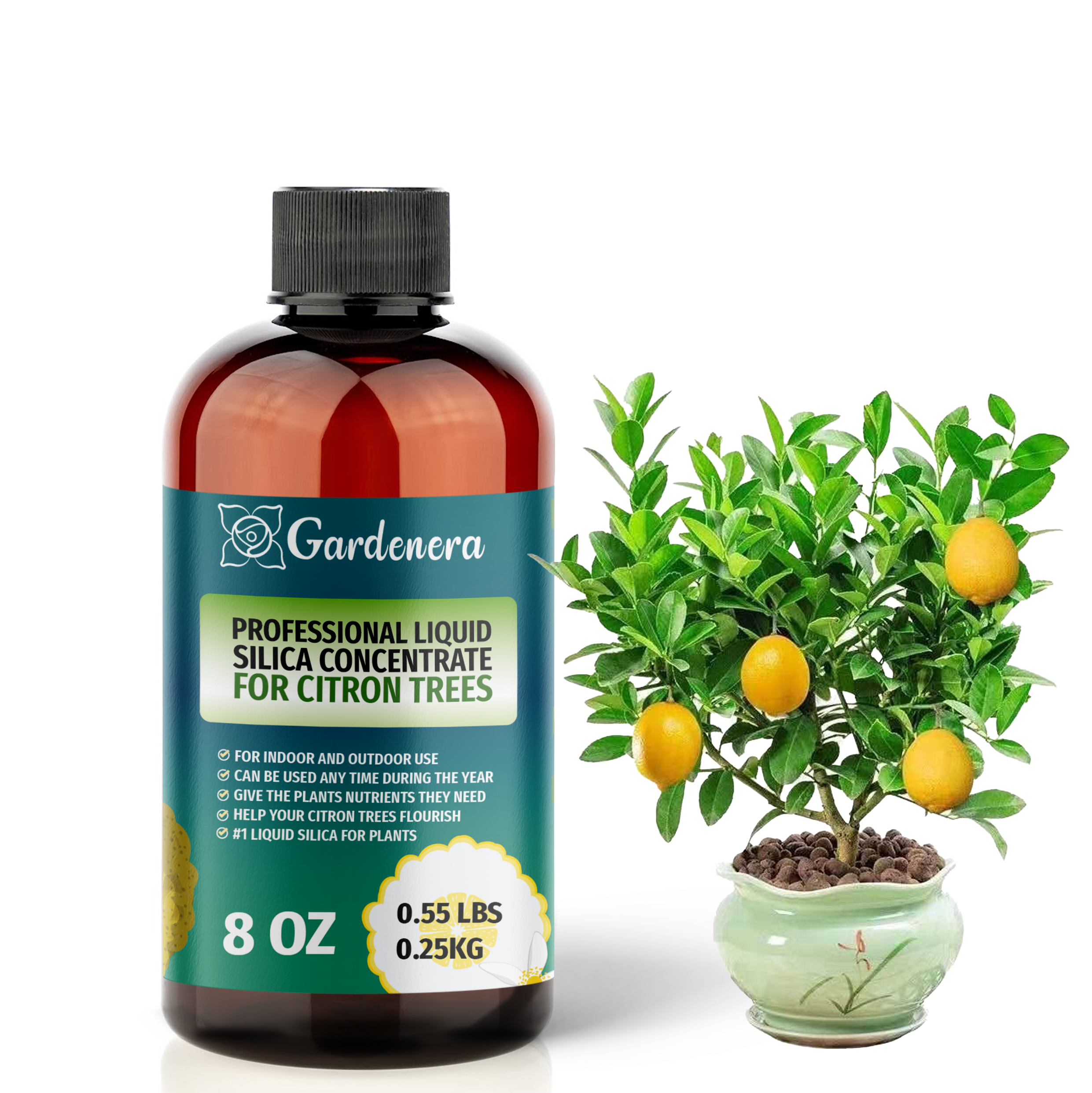 𝐏𝐑𝐄𝐌𝐈𝐔𝐌 Liquid Silica Plant Supplement - 8oz (250mL) - CITRON TREE ...