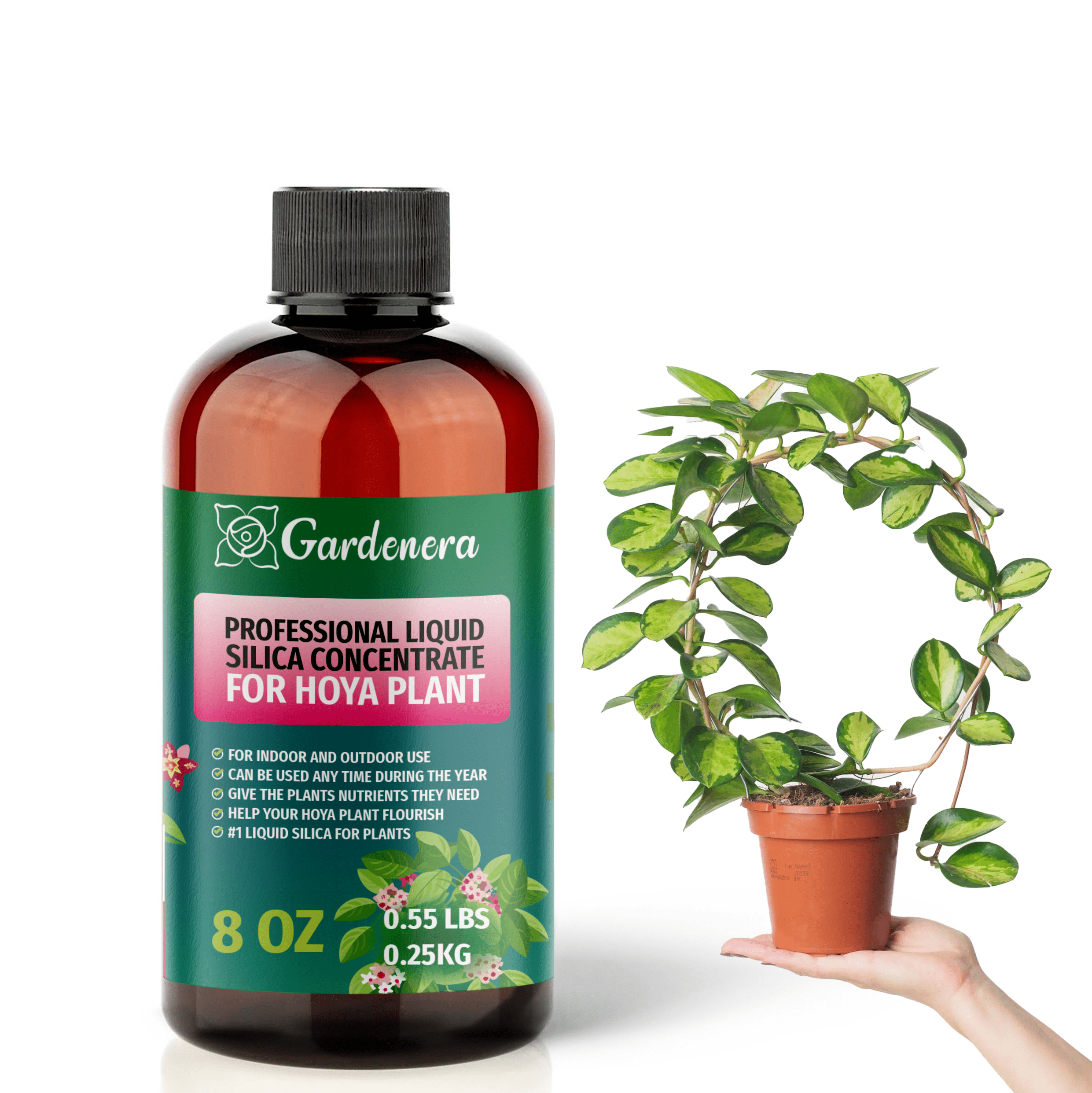 𝐏𝐑𝐄𝐌𝐈𝐔𝐌 Liquid Silica Plant Supplement - 8oz (250mL) - HOYA Plants ...