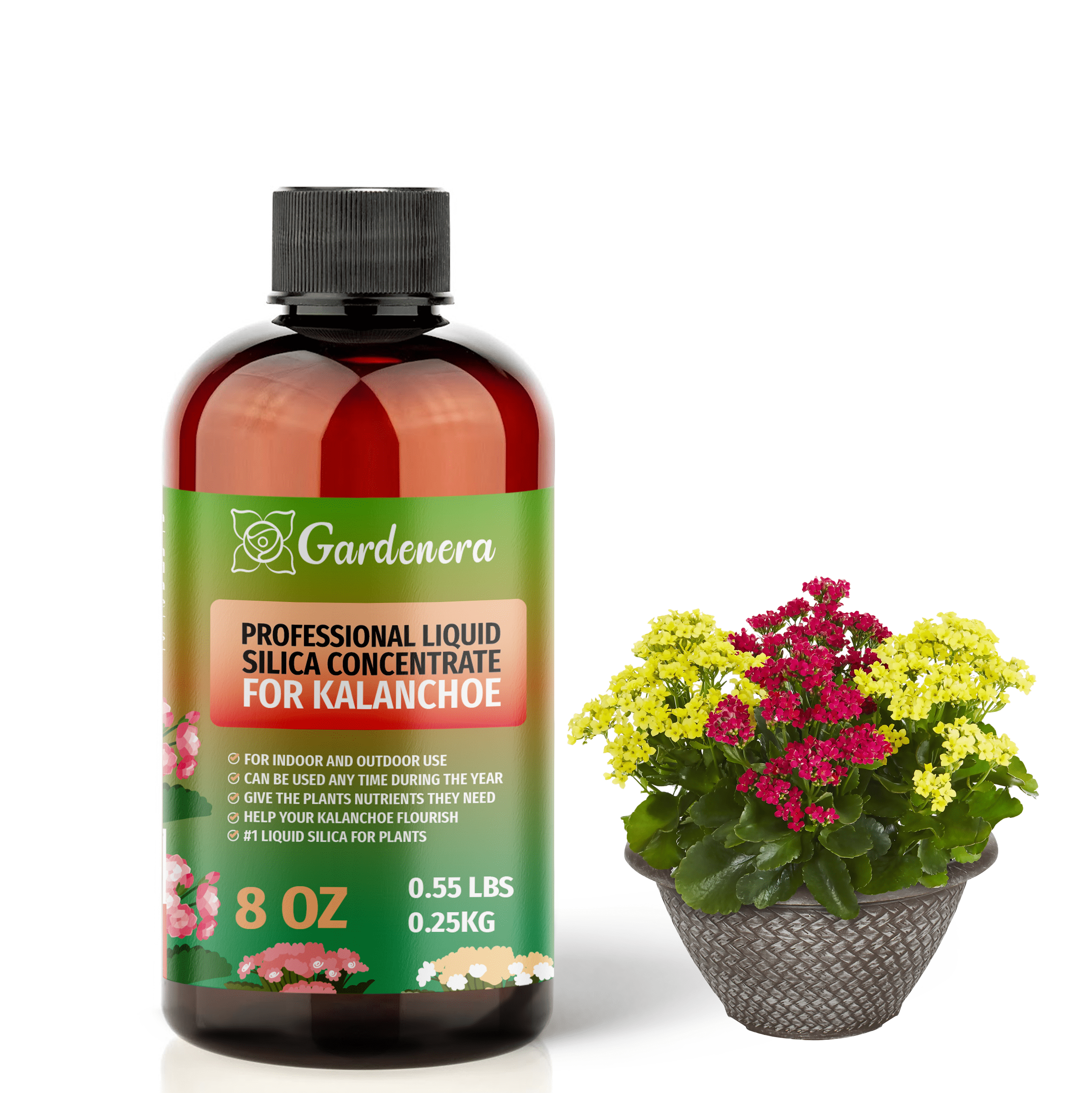 𝐏𝐑𝐄𝐌𝐈𝐔𝐌 Liquid Silica Plant Supplement - 8oz (250mL) - KALANCHOE Plants ...