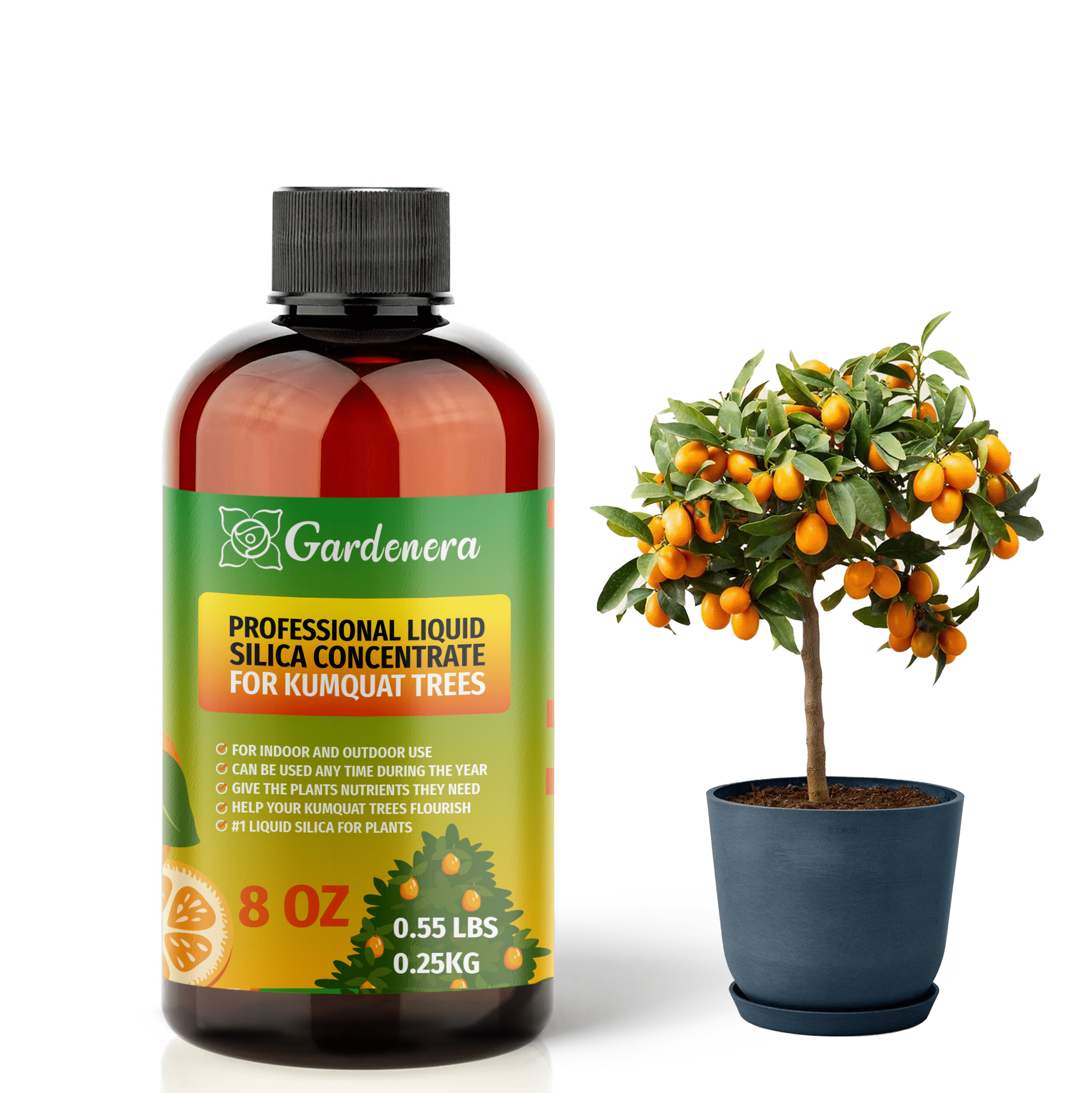 𝐏𝐑𝐄𝐌𝐈𝐔𝐌 Liquid Silica Plant Supplement - 8oz (250mL) - KUMQUAT TREES ...